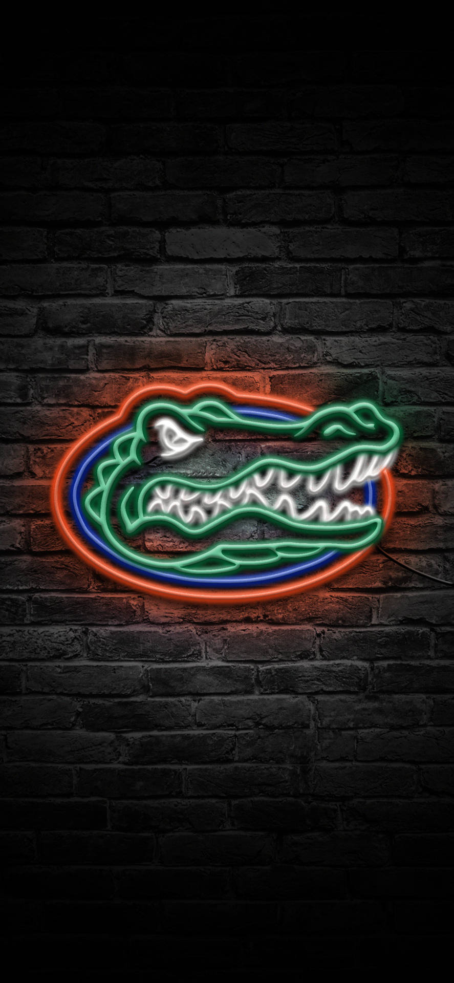 Florida Gators iPhone Wallpapers - Wallpaper Cave