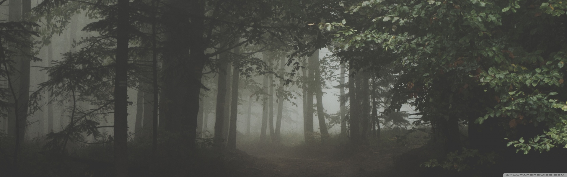 Southern Gothic Wallpapers - Wallpaper Cave