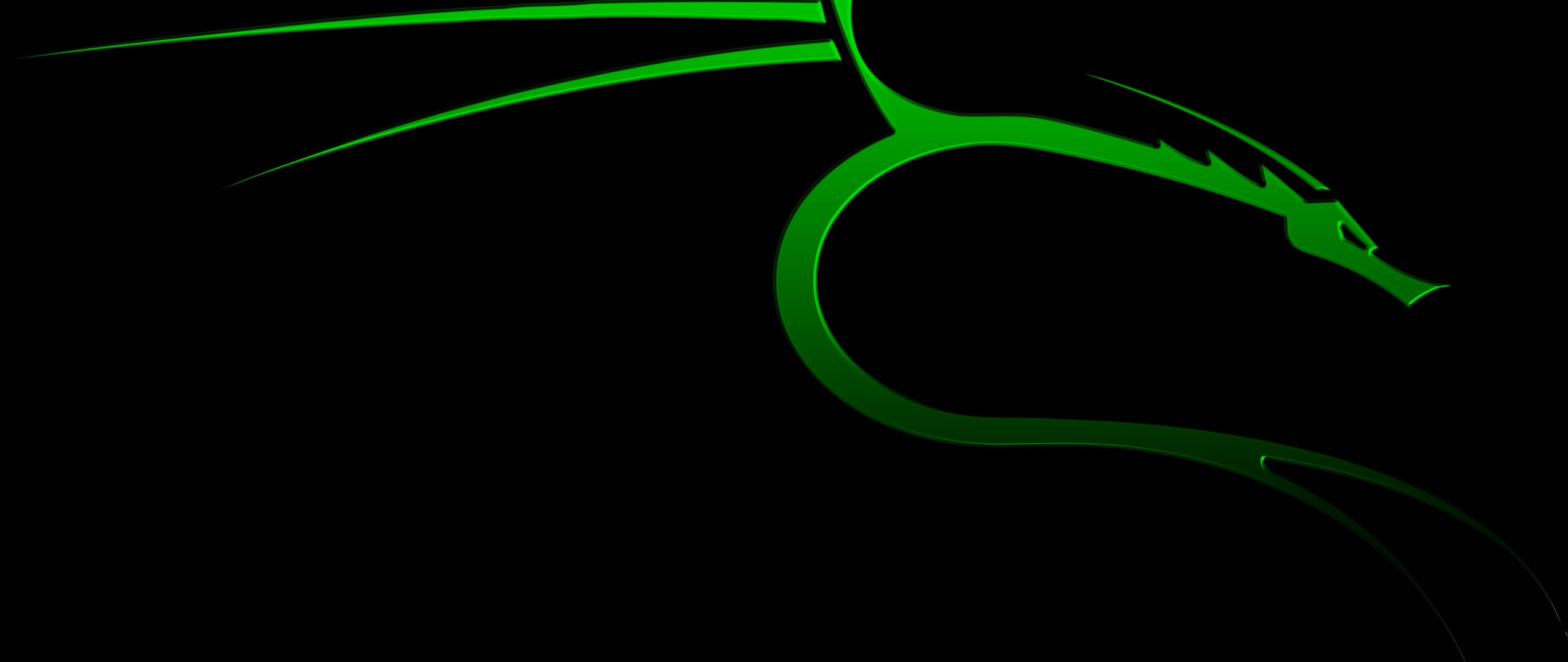 Kali Linux PC Wallpapers - Wallpaper Cave