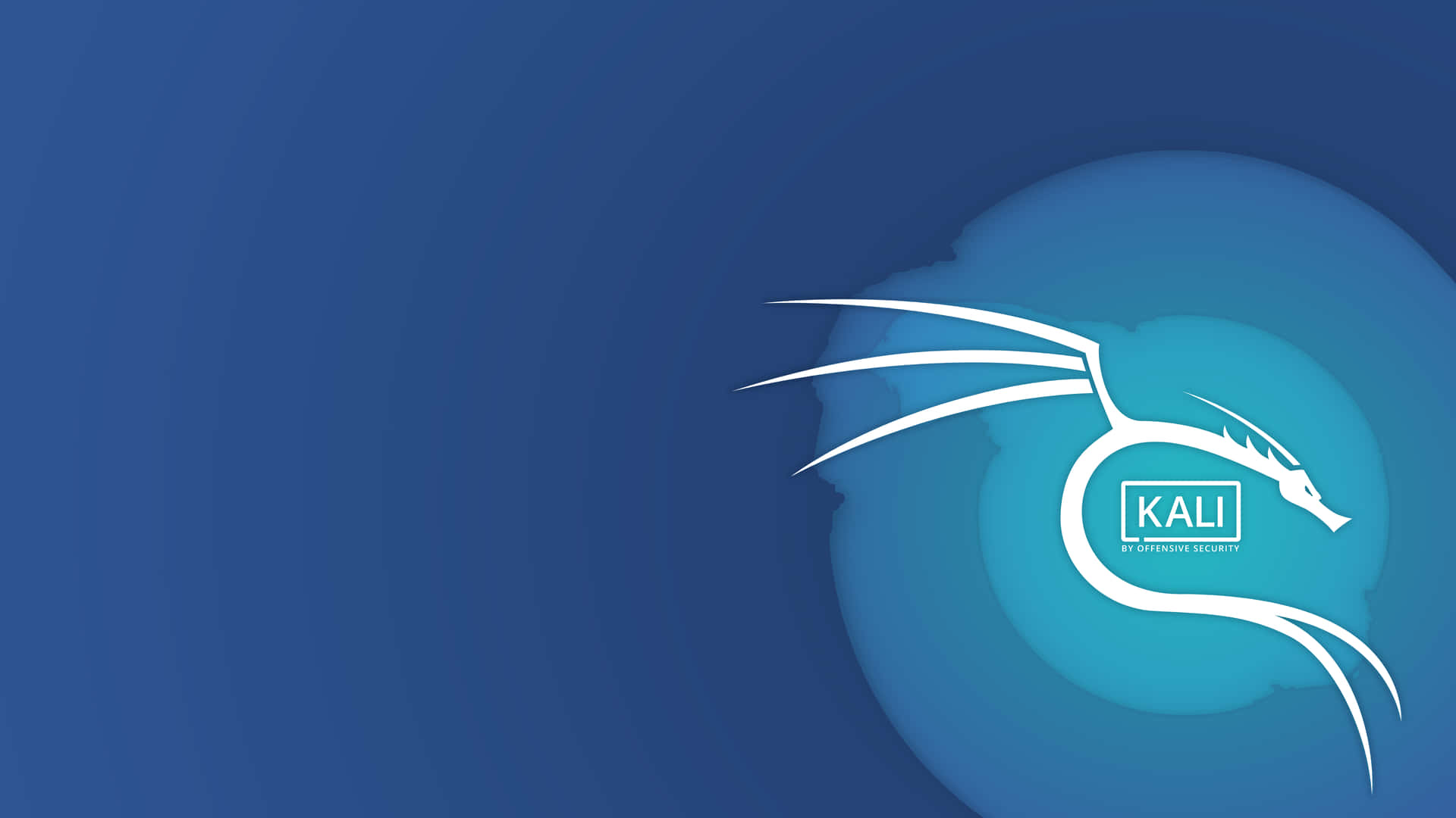 Kali Linux PC Wallpapers - Wallpaper Cave