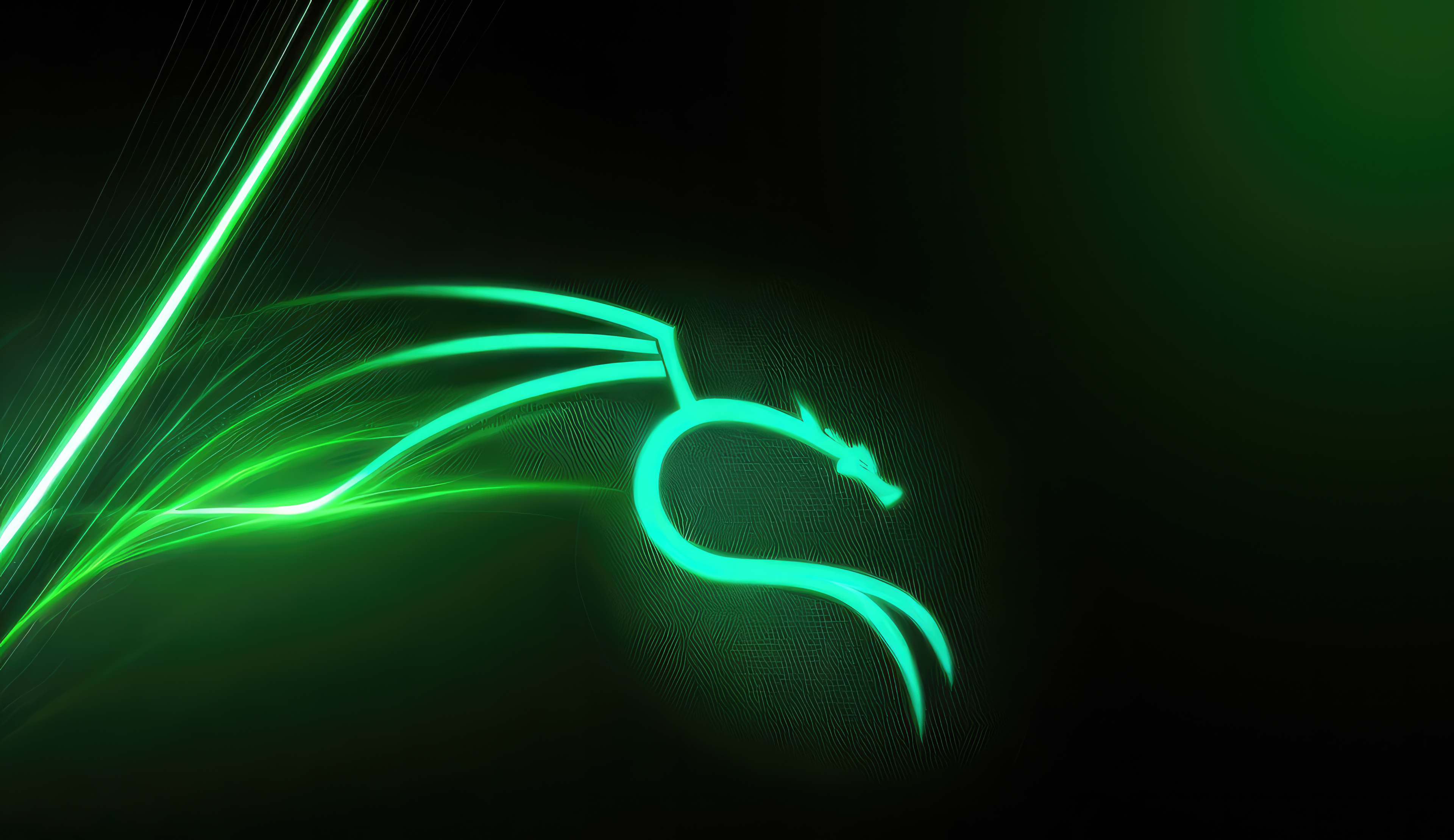 Kali Linux PC Wallpapers - Wallpaper Cave