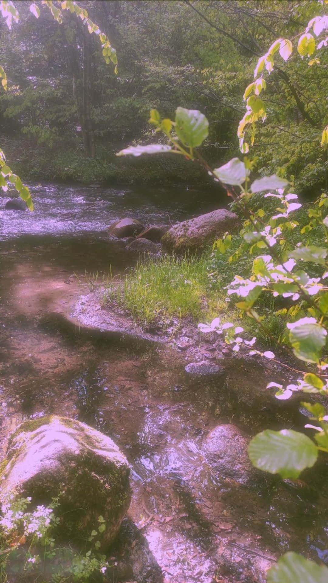 Spring Fairycore Wallpapers - Wallpaper Cave