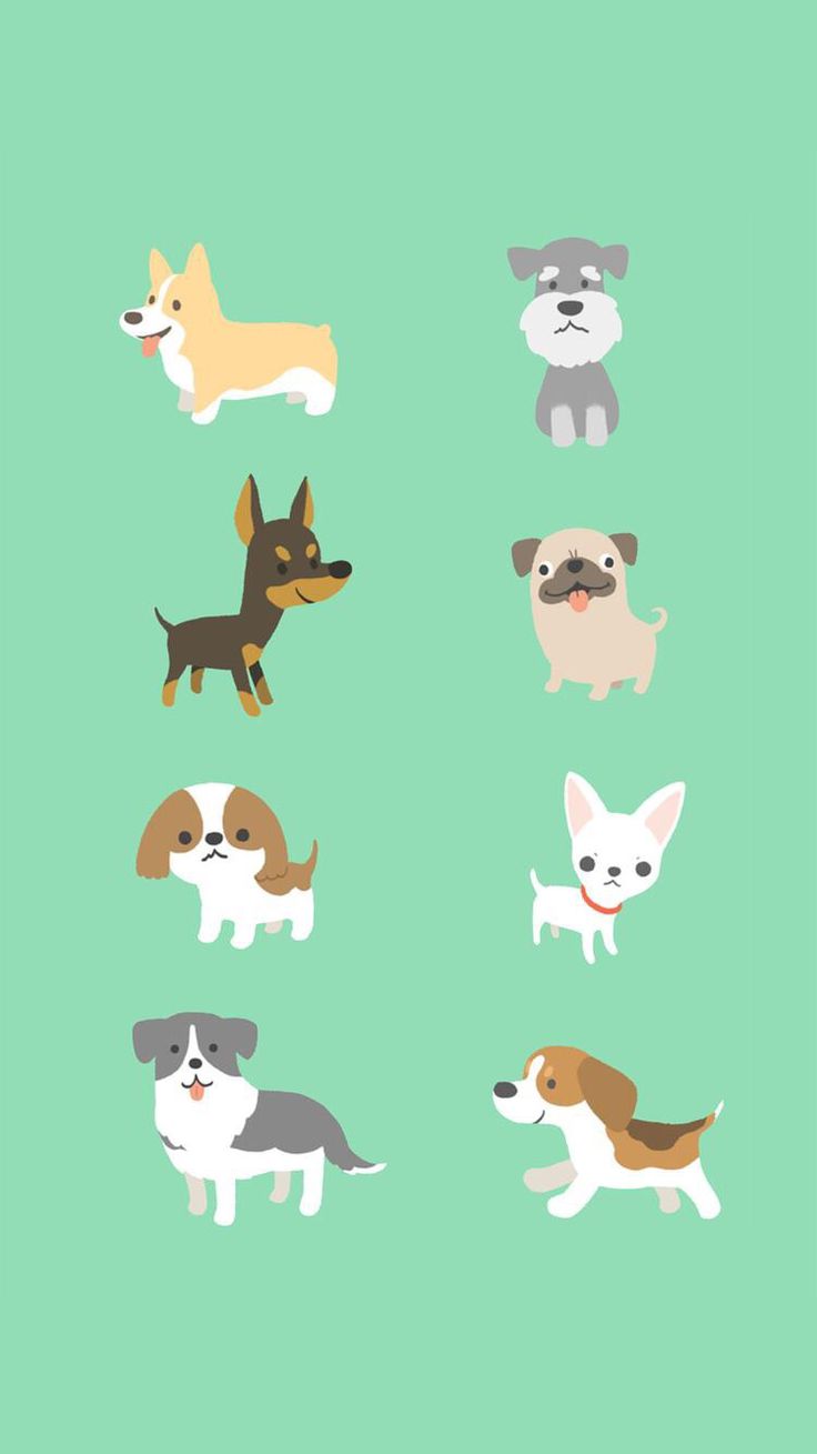 Green Dog Wallpapers - Wallpaper Cave