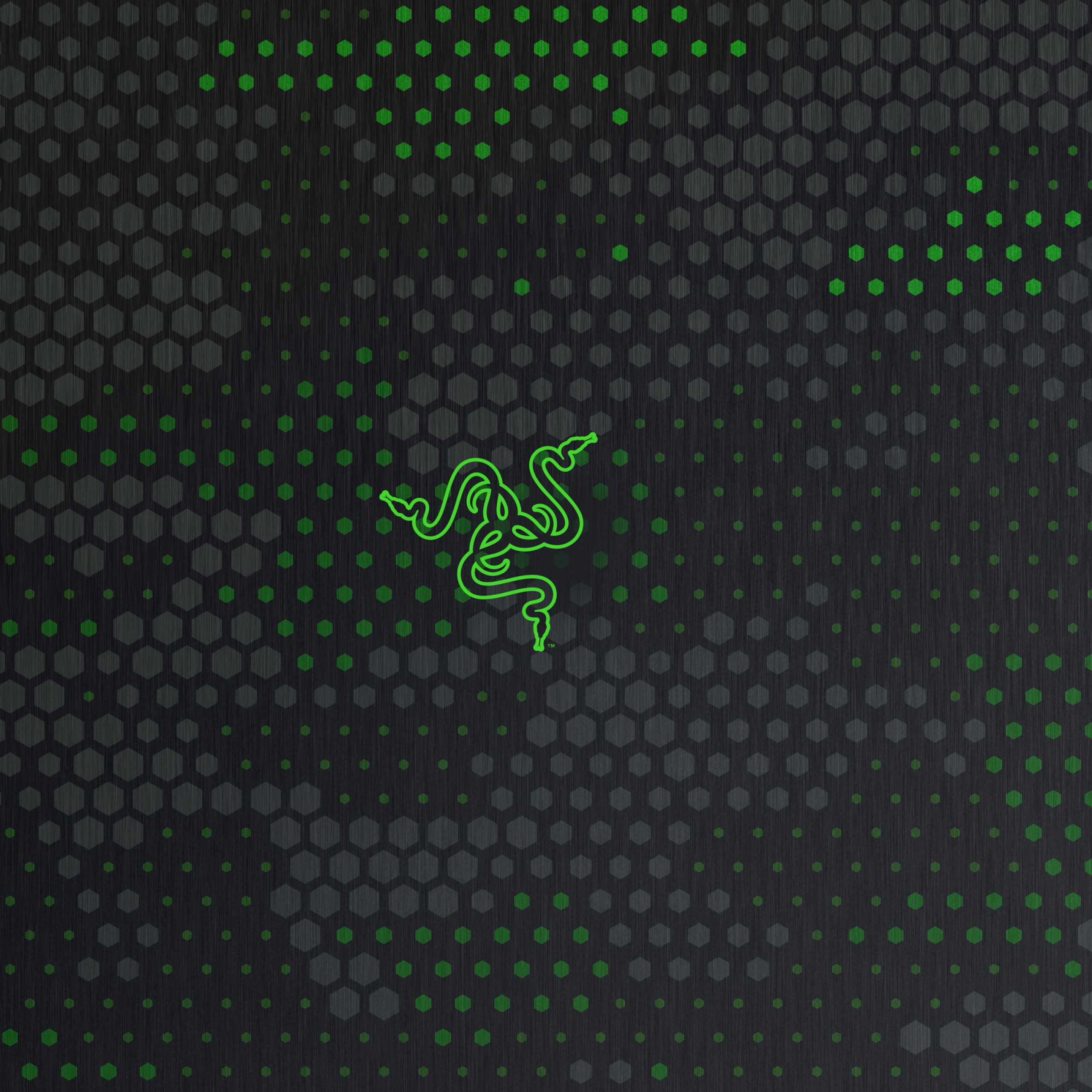 Razer Black Wallpapers - Wallpaper Cave