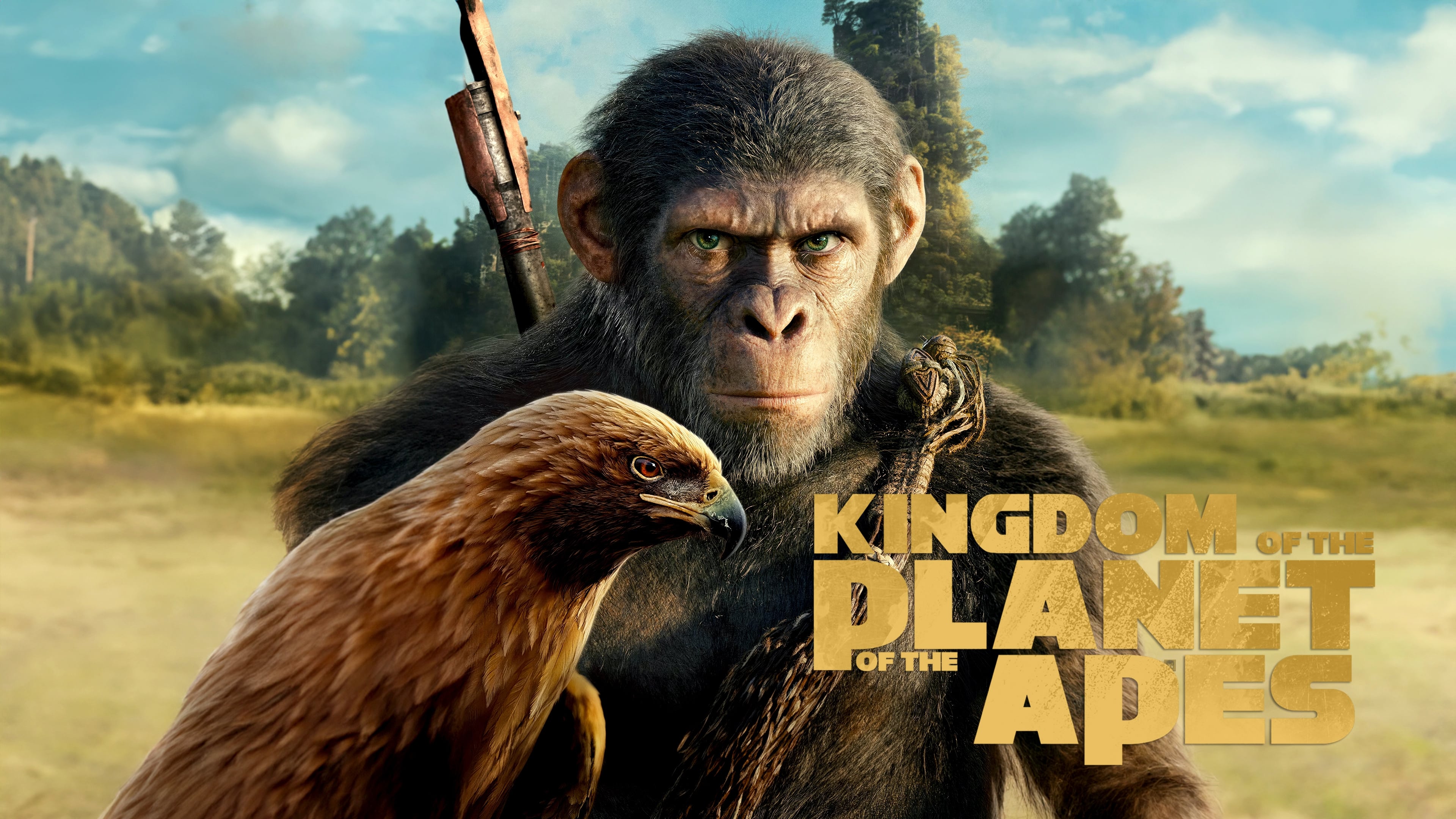 Kingdom Of The Planet Of The Apes Wallpapers - Wallpaper Cave