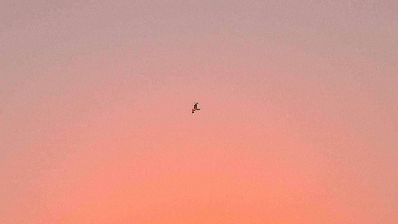 Peach Sunset Wallpapers - Wallpaper Cave