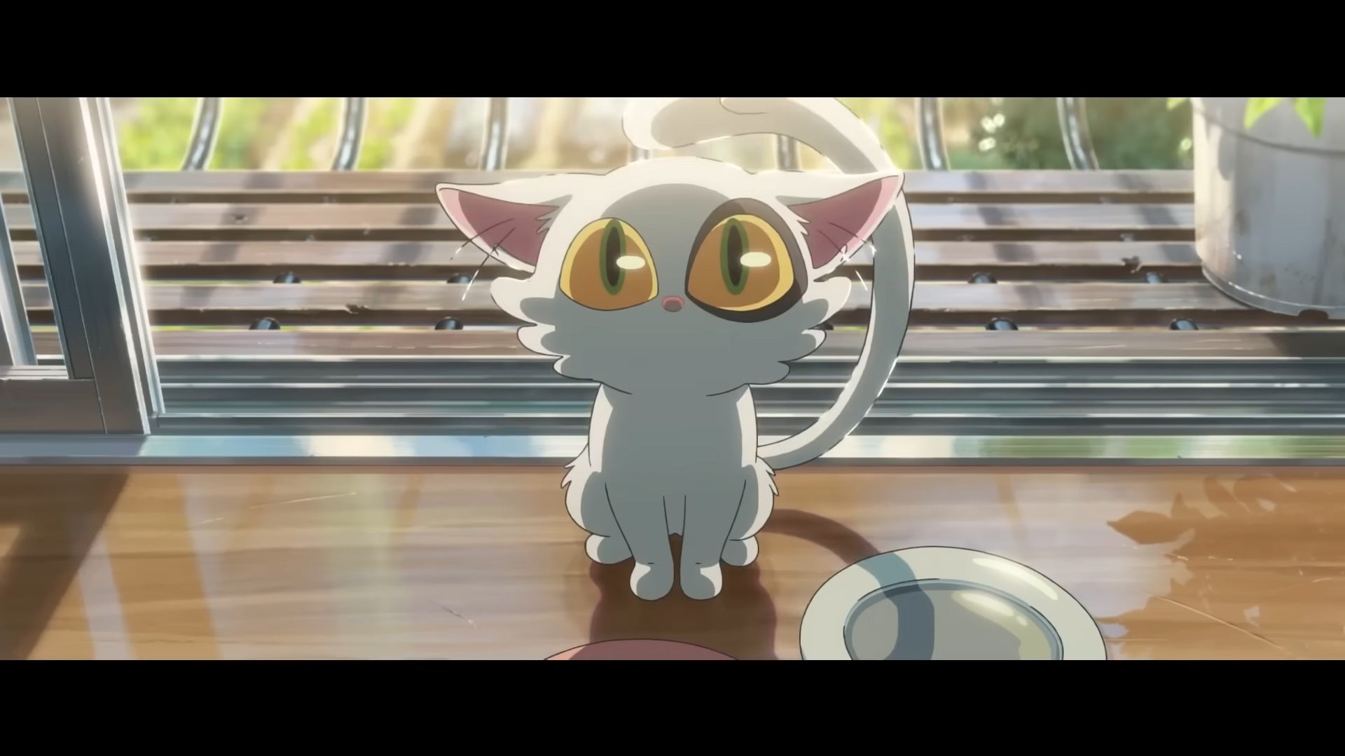 Suzume Cat Wallpapers - Wallpaper Cave