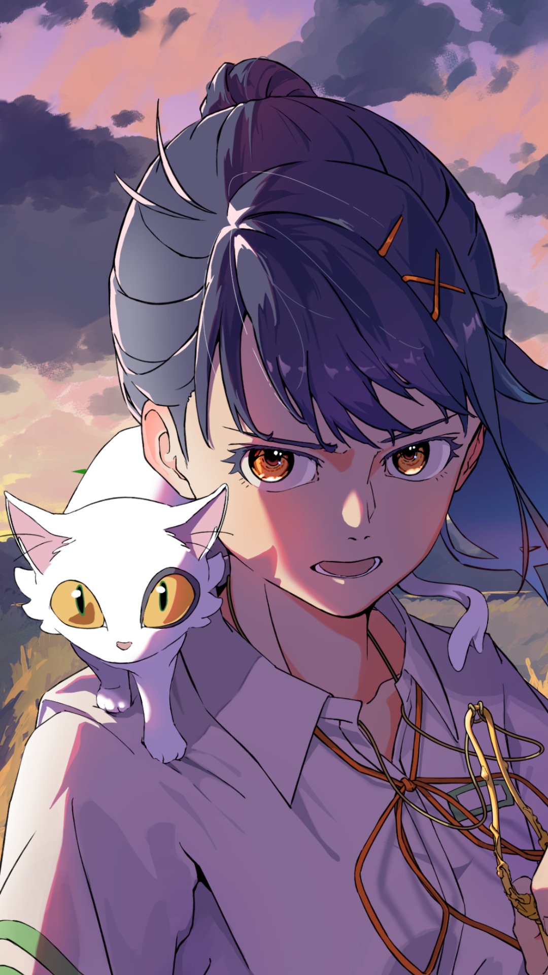 Suzume Cat Wallpapers - Wallpaper Cave