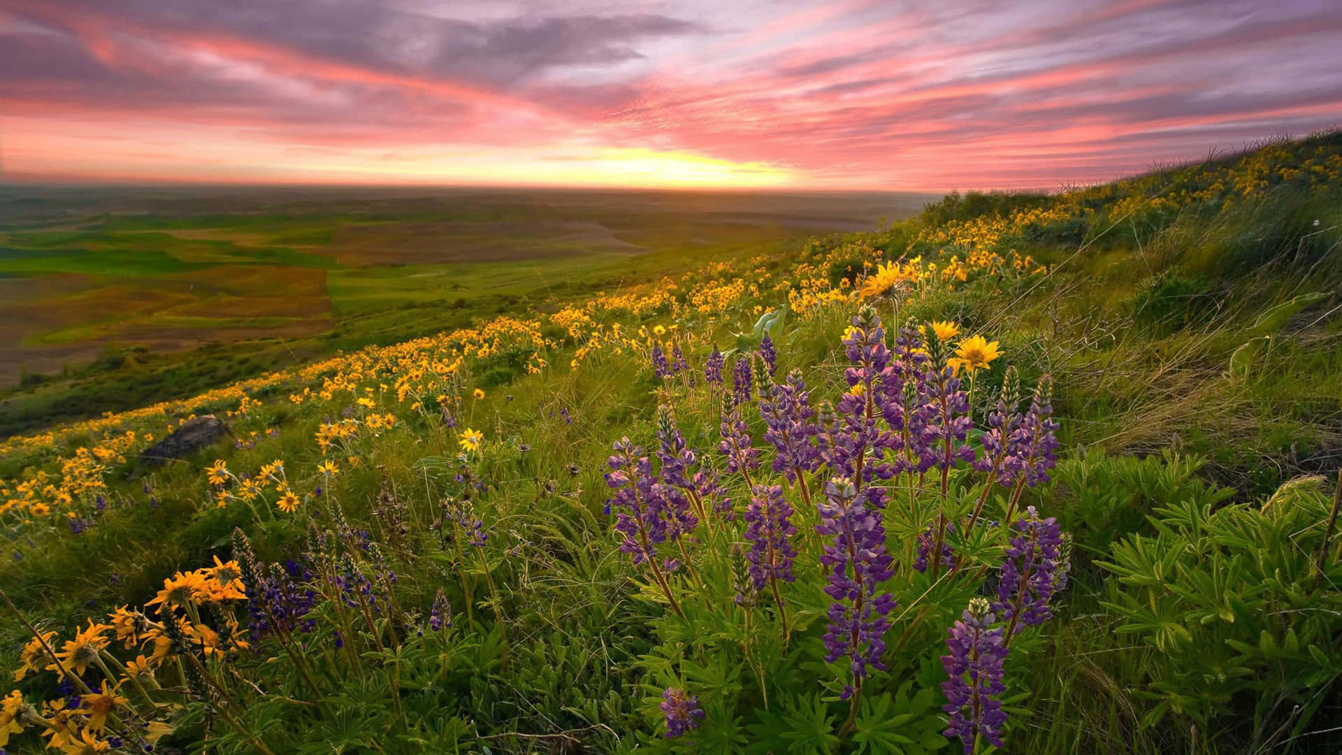 Outdoors Spring Wallpapers - Wallpaper Cave