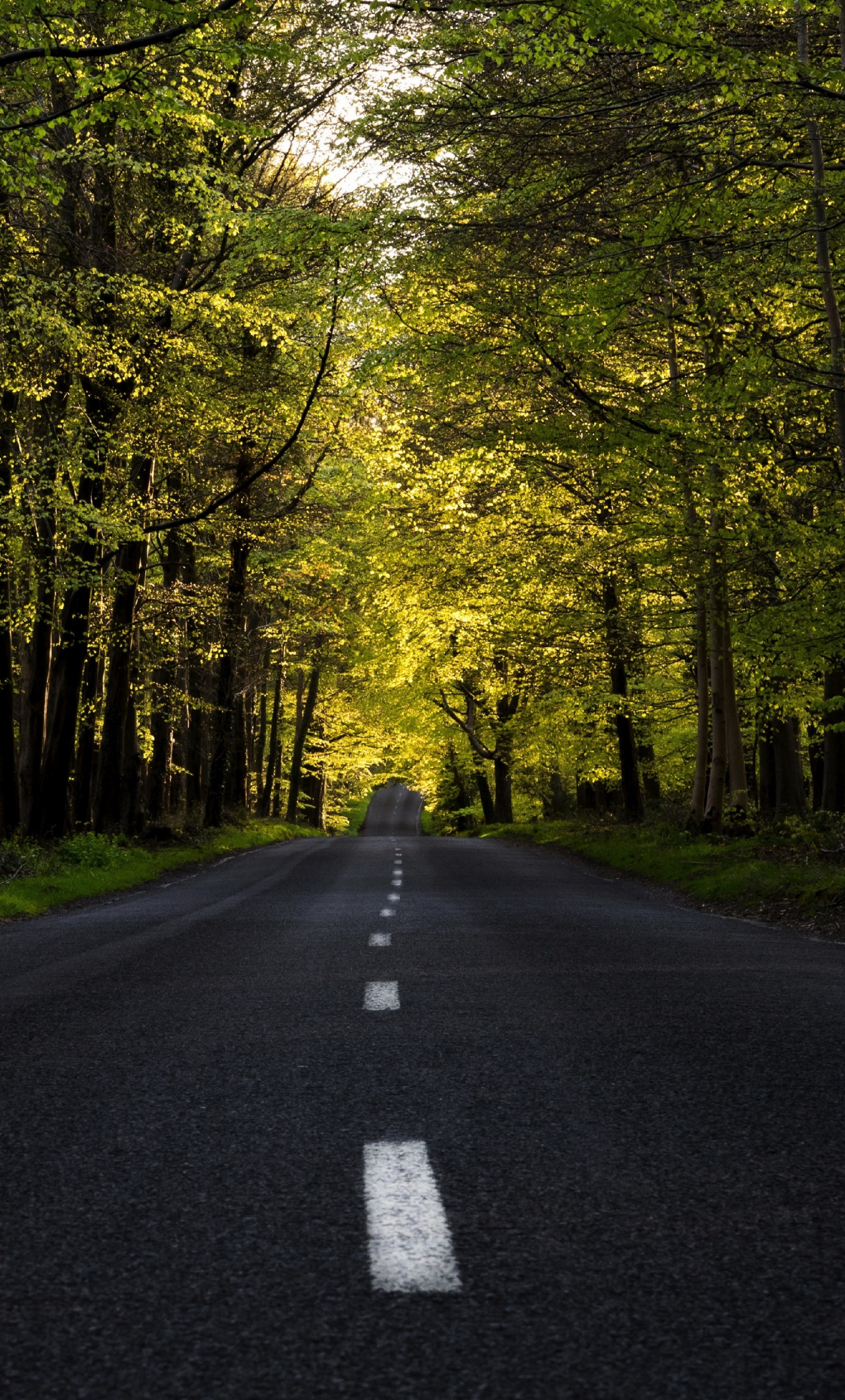 Yellow Spring Roads Wallpapers - Wallpaper Cave