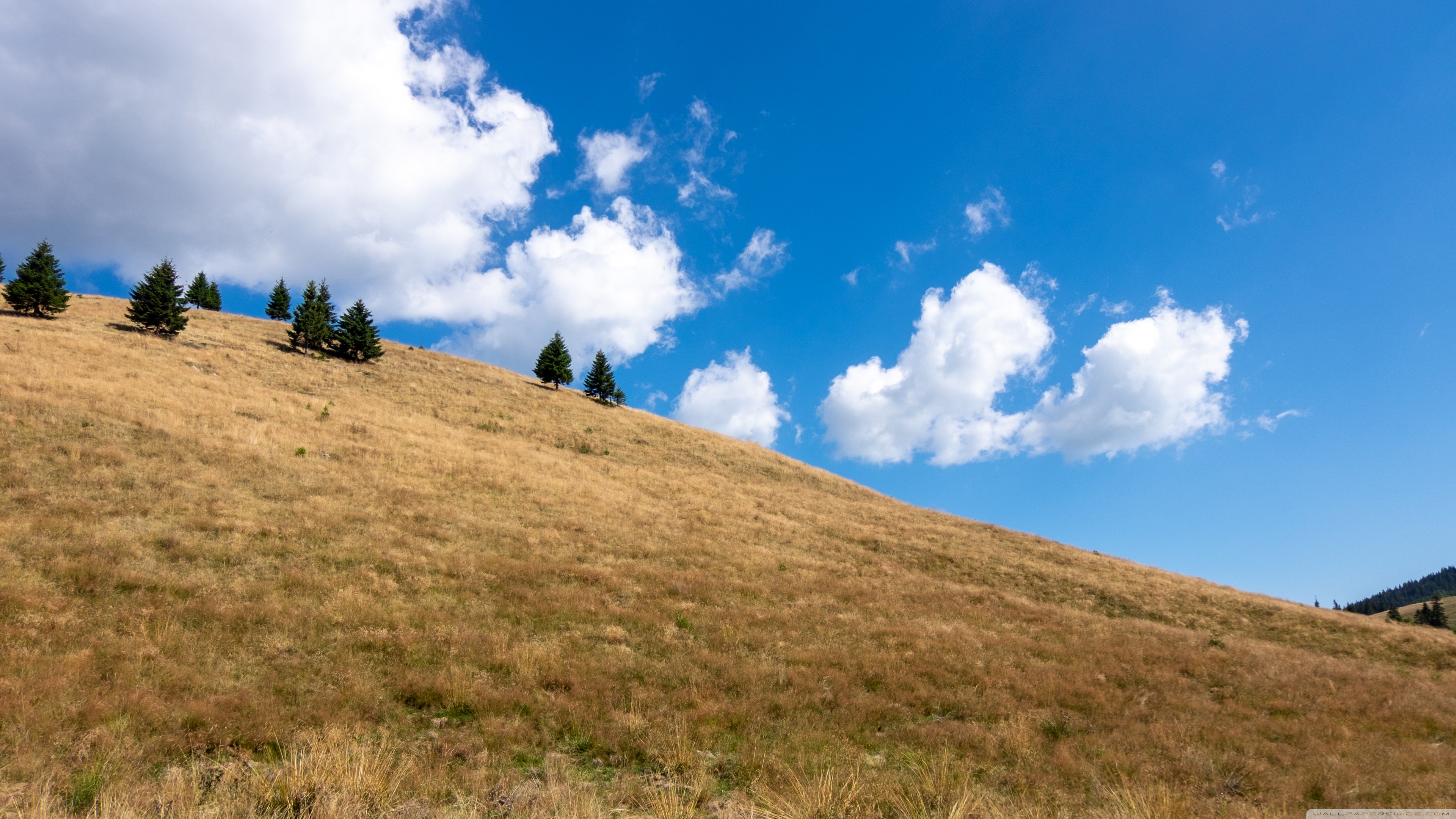 4k Windows XP Wallpapers - Wallpaper Cave