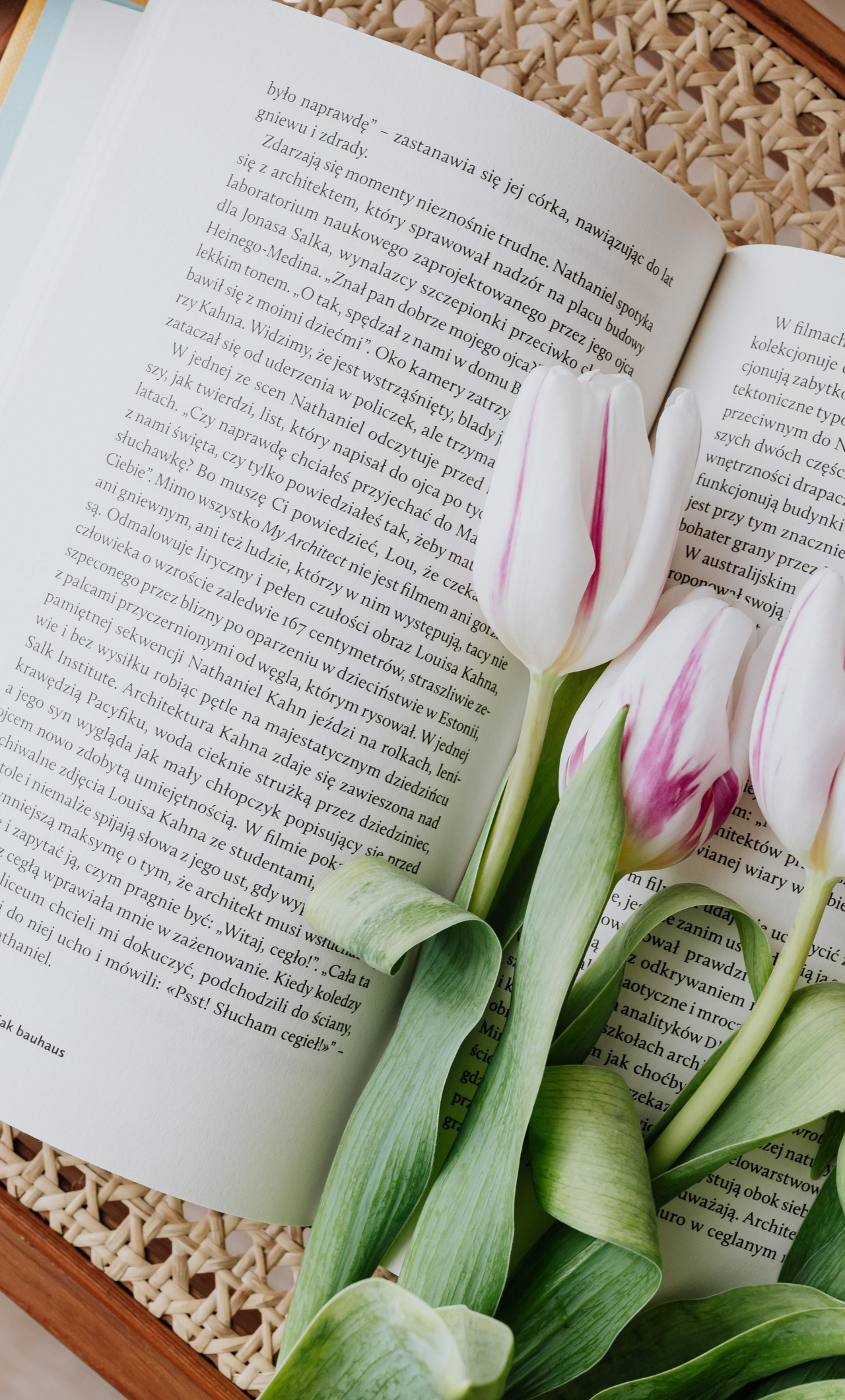 iPhone Books Wallpapers - Wallpaper Cave