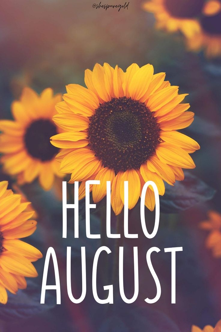 Hello August Wallpapers - Wallpaper Cave