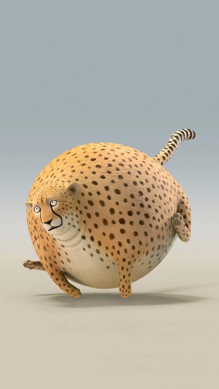 Chubby Animals Wallpapers - Wallpaper Cave