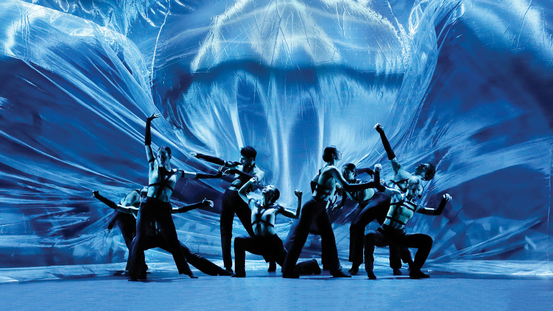 Fusion Dance Wallpapers - Wallpaper Cave