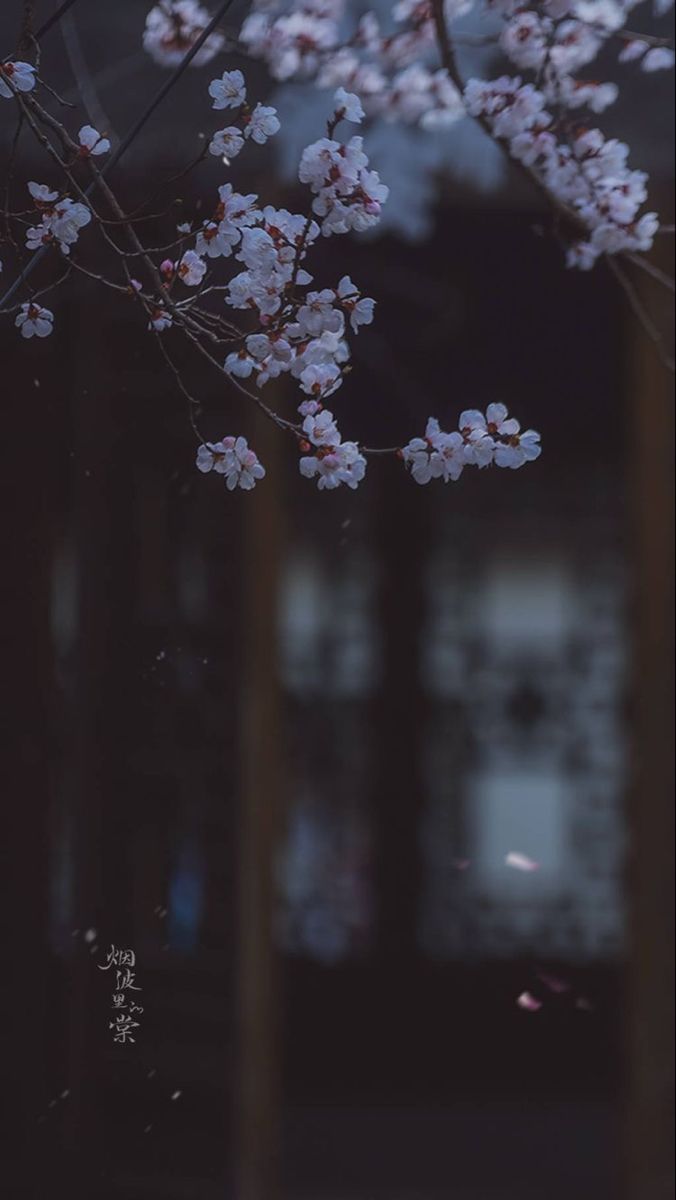 Dark Spring Night Wallpapers - Wallpaper Cave