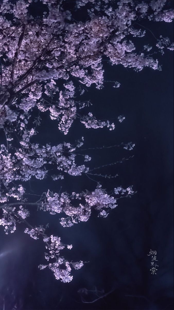 Dark Spring Night Wallpapers - Wallpaper Cave