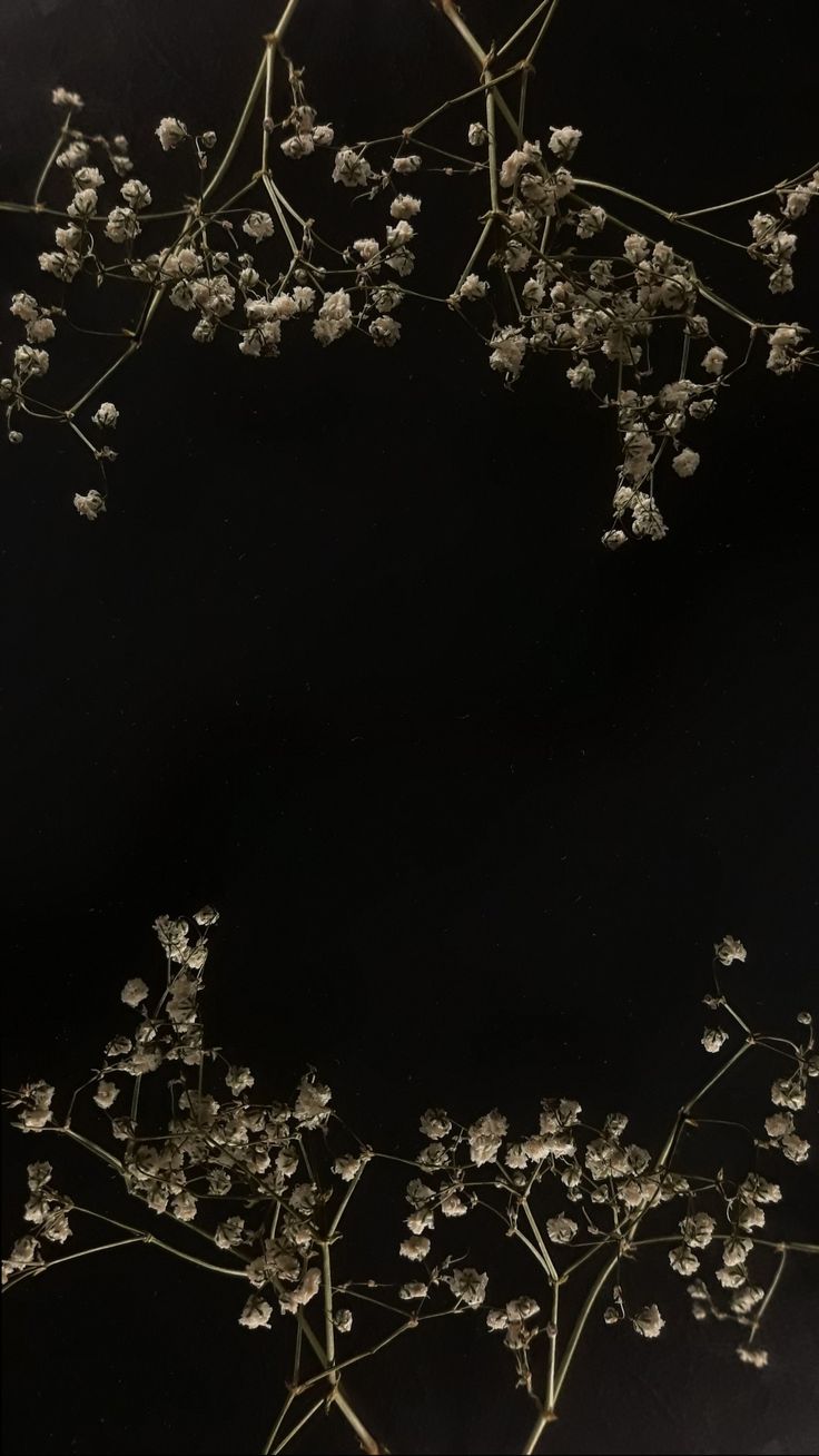 Dark Spring Night Wallpapers - Wallpaper Cave