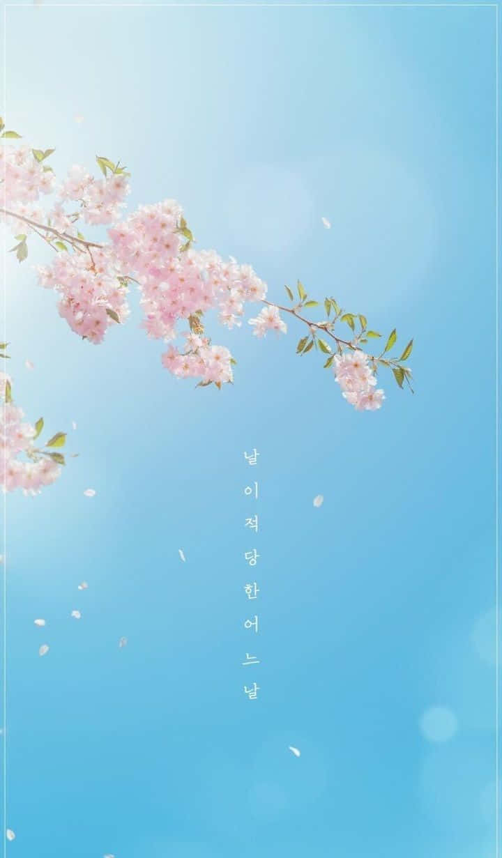 iPhone X Korean Wallpapers - Wallpaper Cave