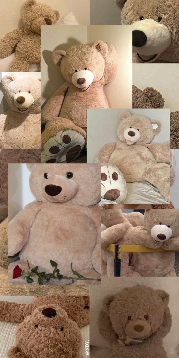 Cute Bear Phone Wallpapers - Wallpaper Cave