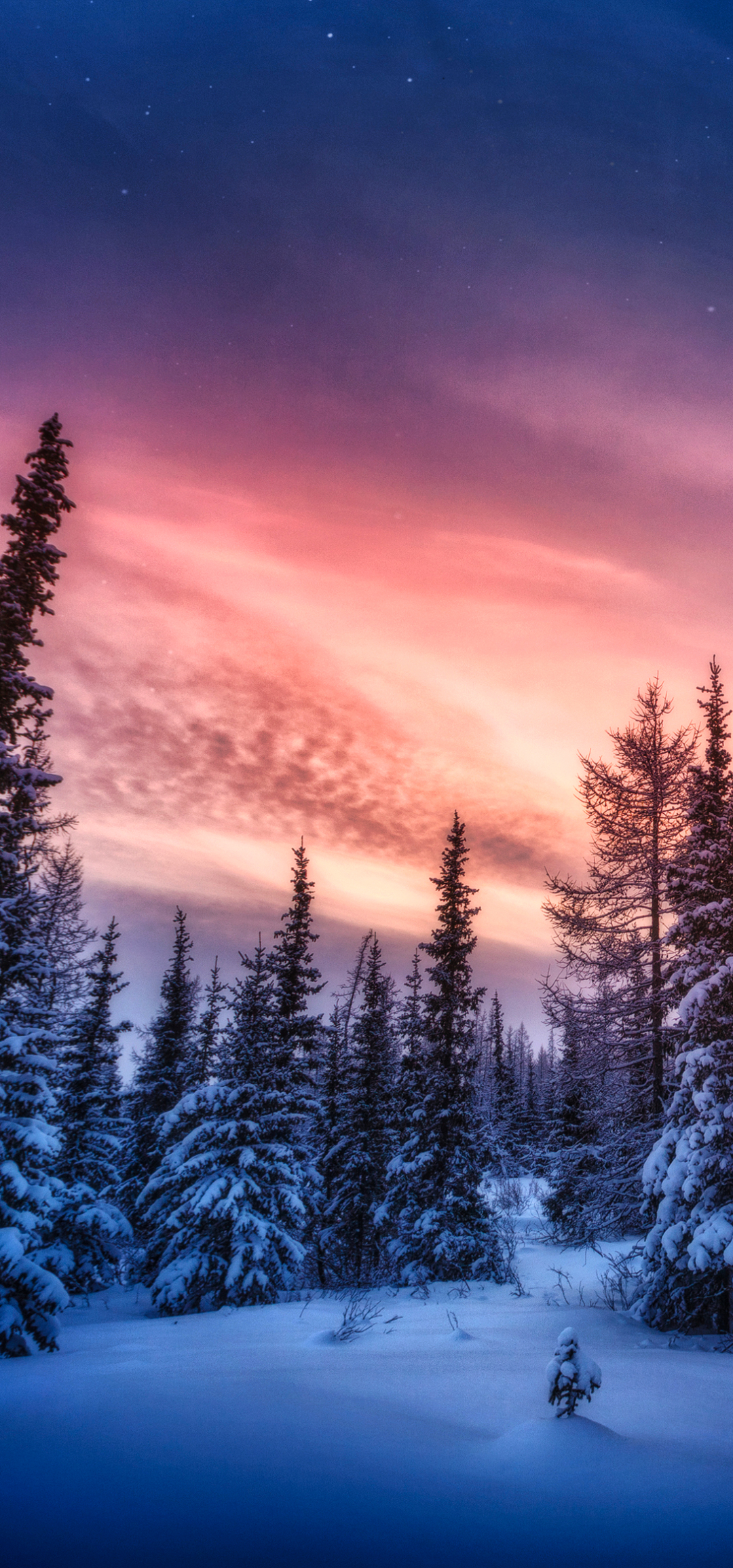 HD Snowfall Sunset iPhone Wallpapers - Wallpaper Cave