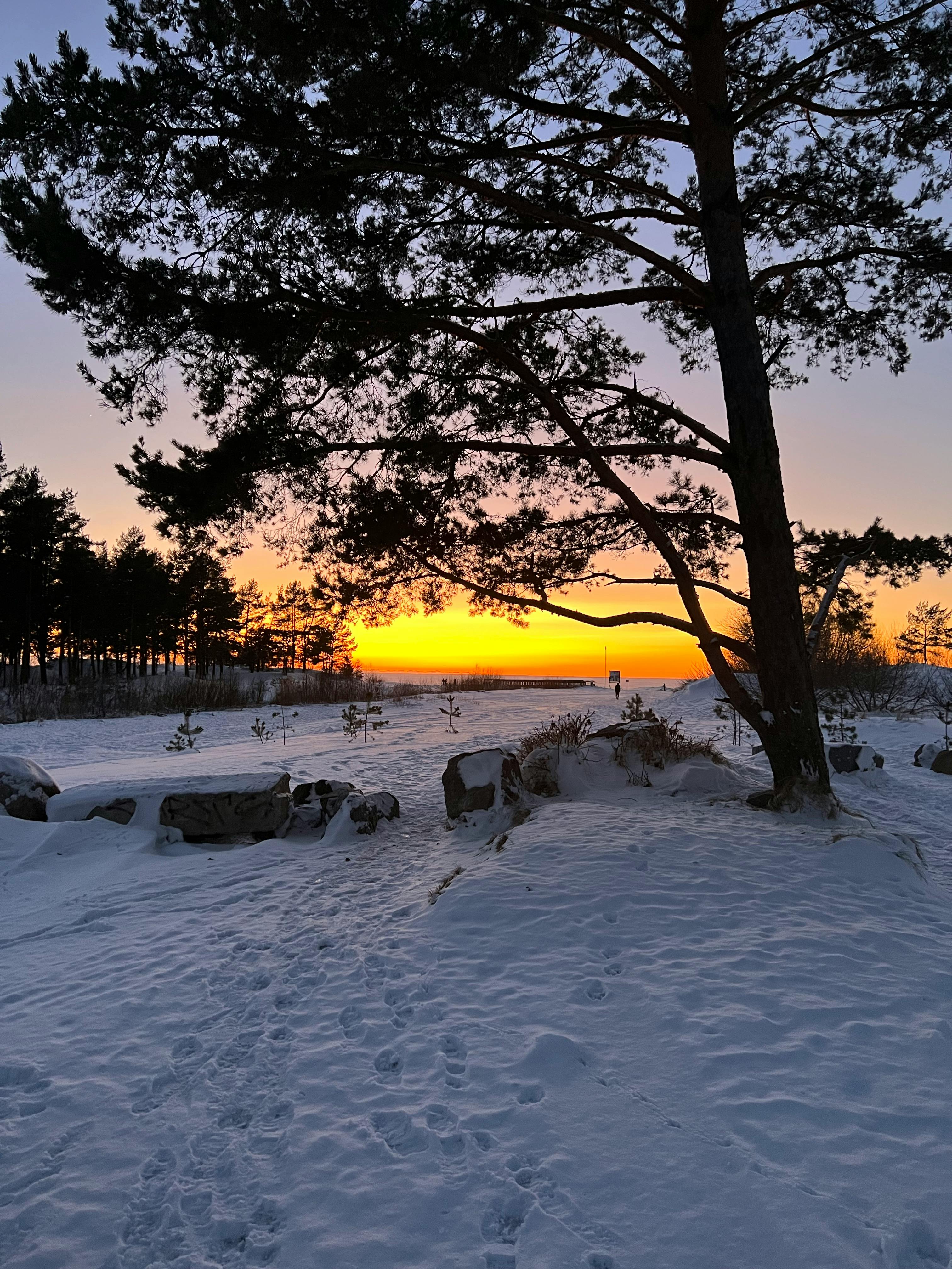 HD Snowfall Sunset iPhone Wallpapers - Wallpaper Cave