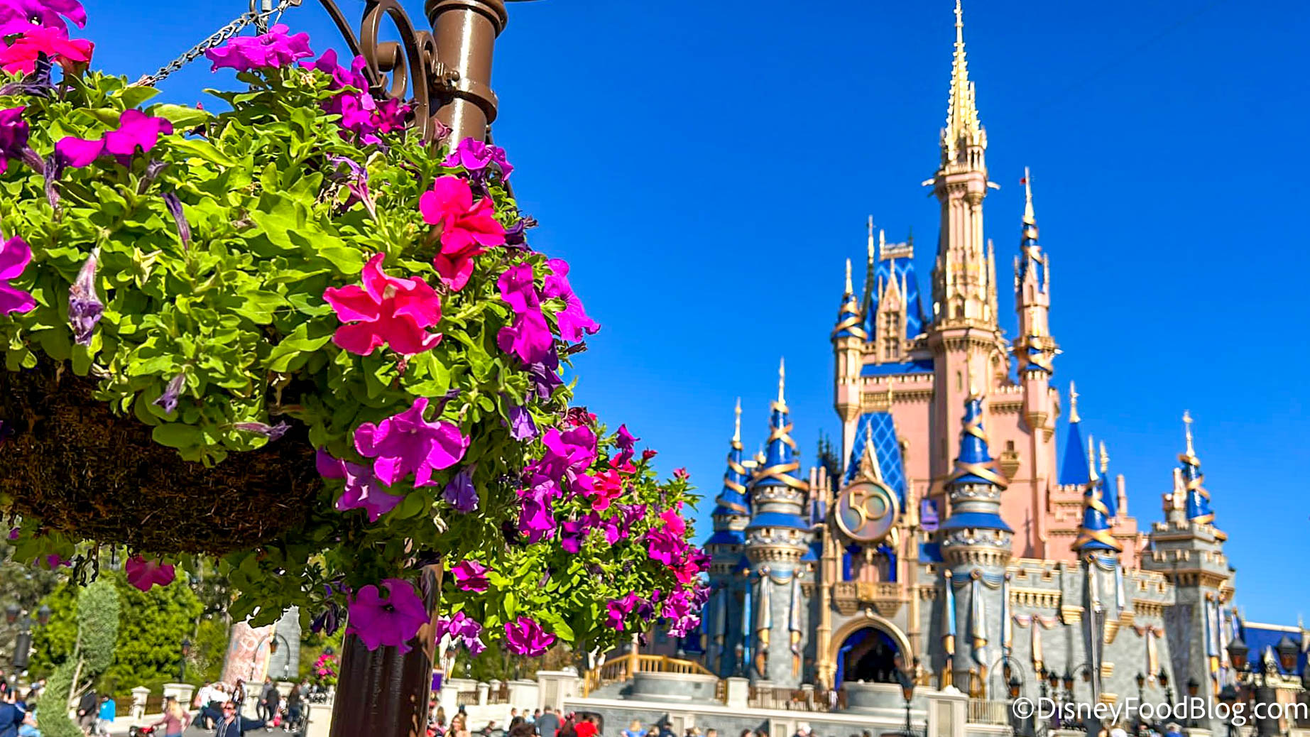 Disney World In Background Spring Wallpaper