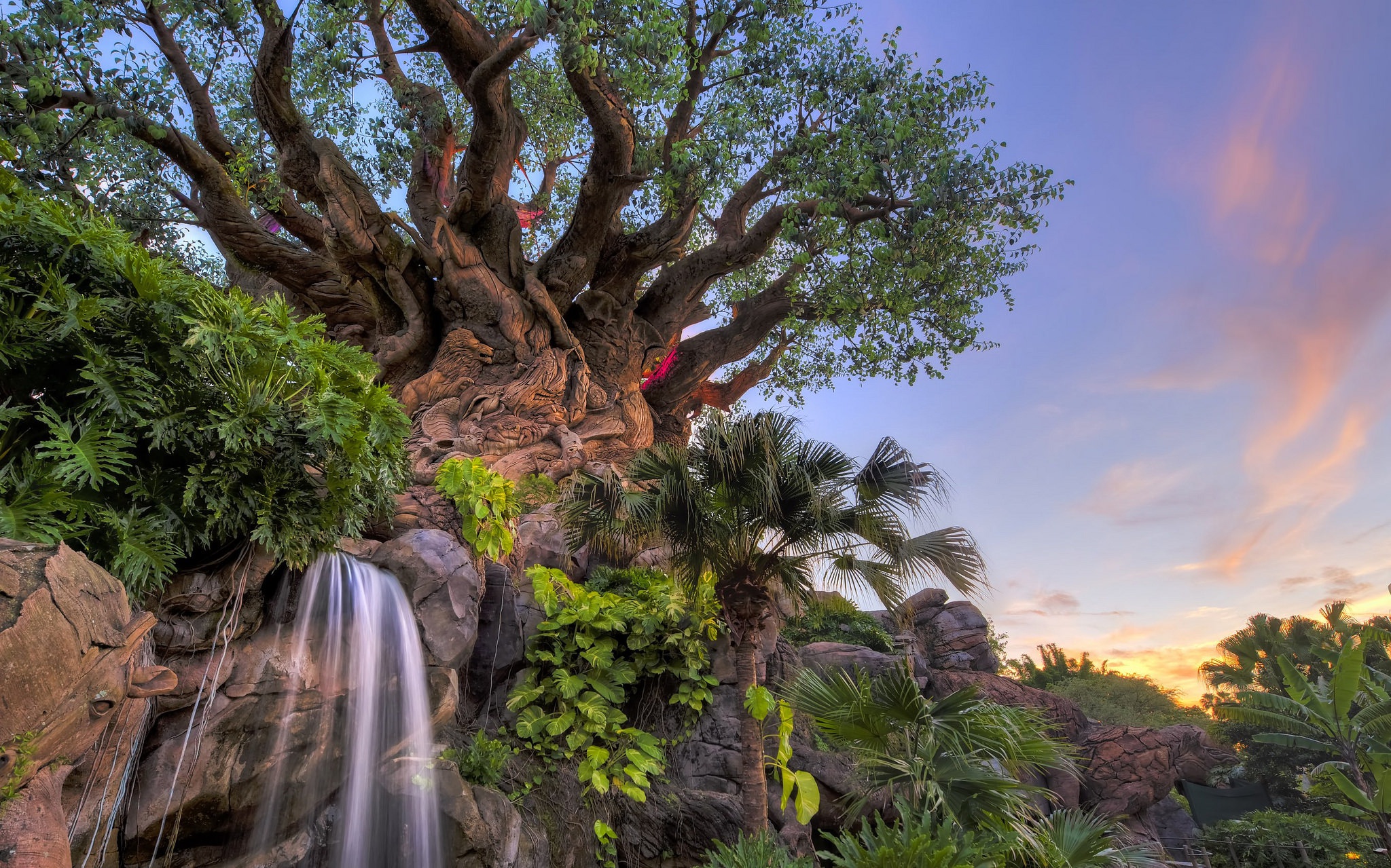 Disney World Spring Wallpapers - Wallpaper Cave