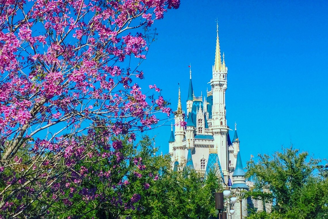 Disney World Spring Wallpapers - Wallpaper Cave