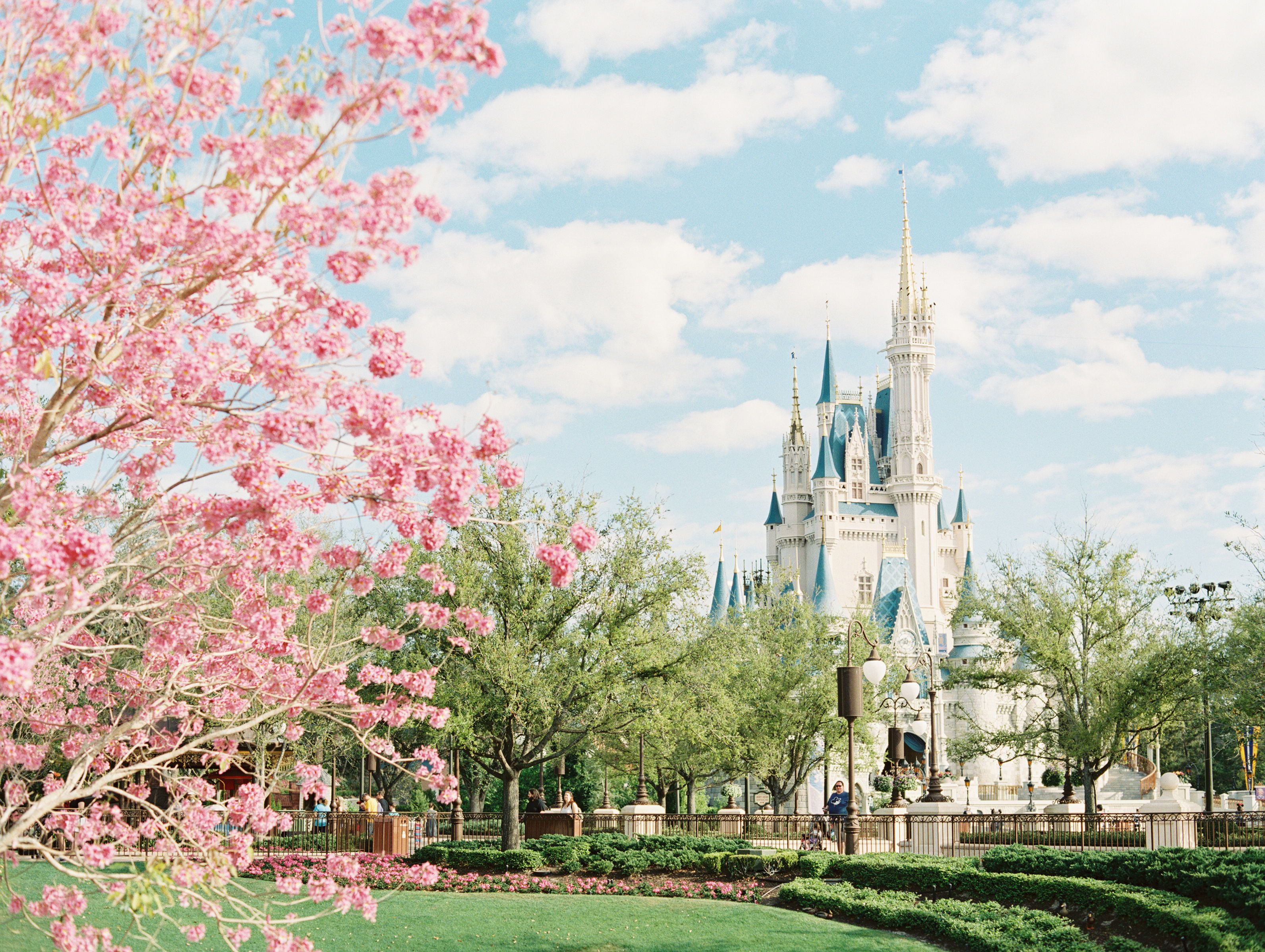 Disney World Spring Wallpapers - Wallpaper Cave