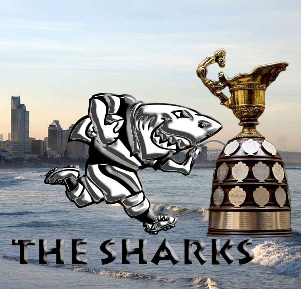 Sharks Rugby Wallpapers - Wallpaper Cave