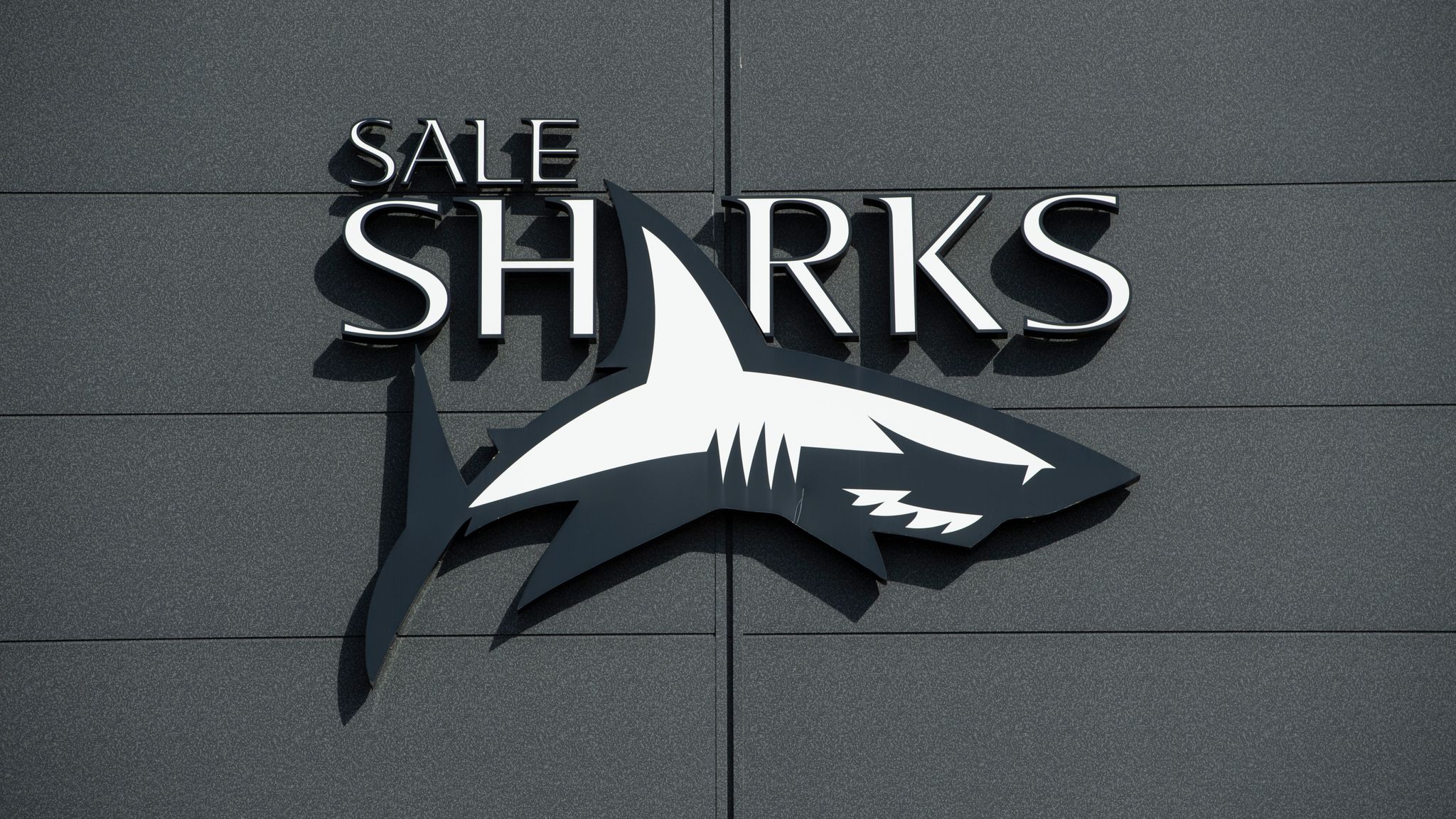 Sharks Rugby Wallpapers - Wallpaper Cave