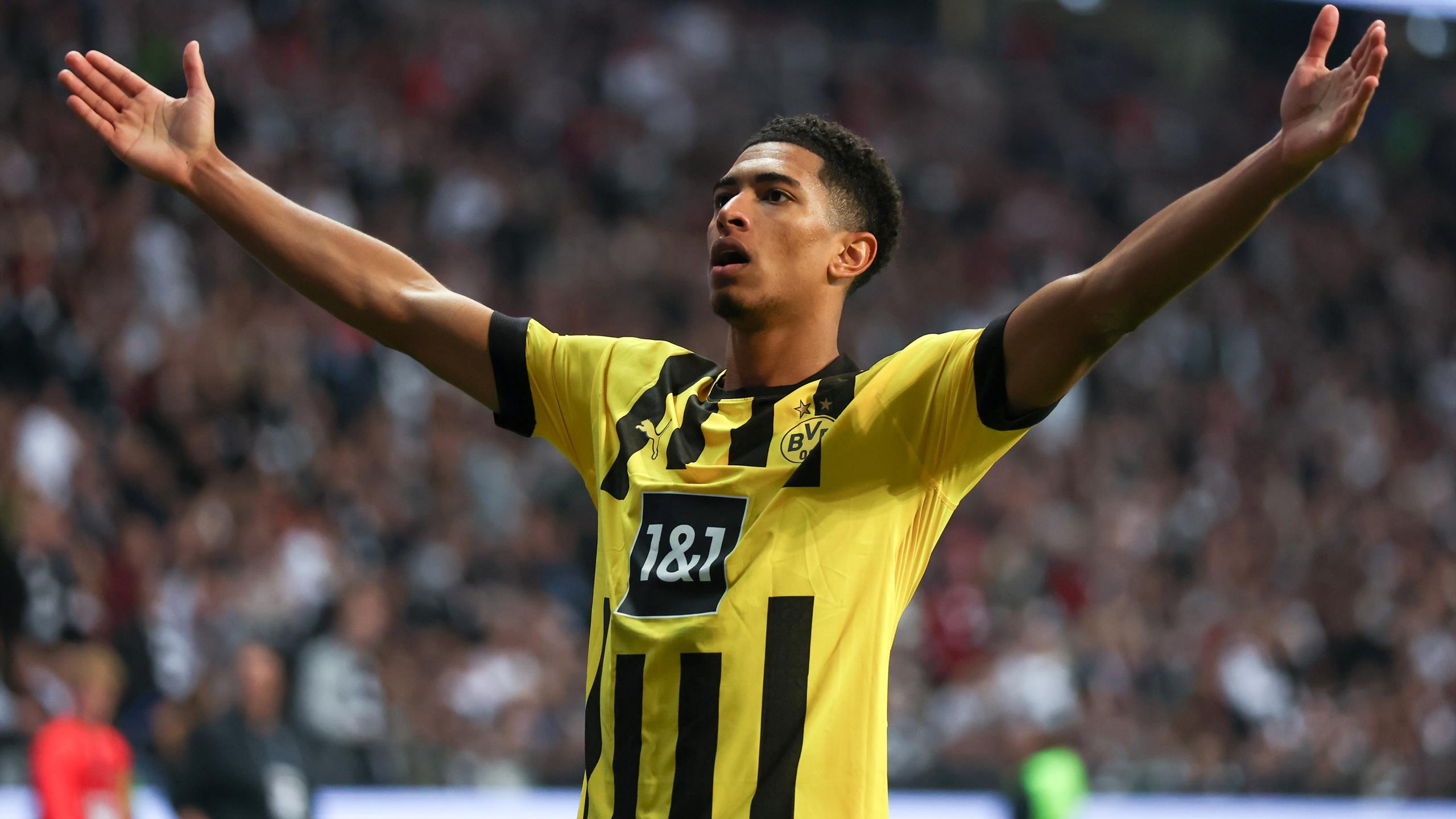 Bellingham PC Wallpapers - Wallpaper Cave