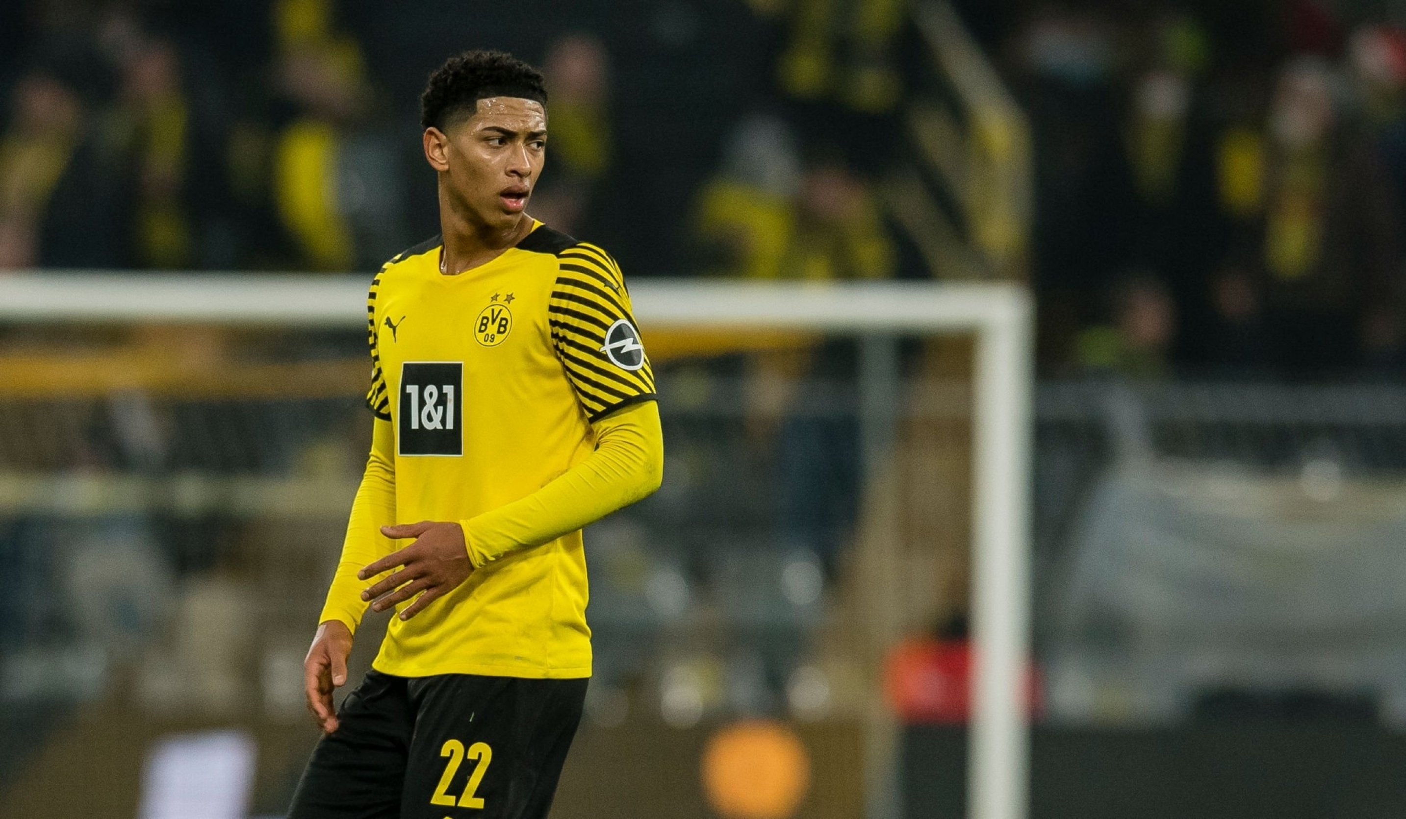 Bellingham Computer 4k Wallpapers - Wallpaper Cave