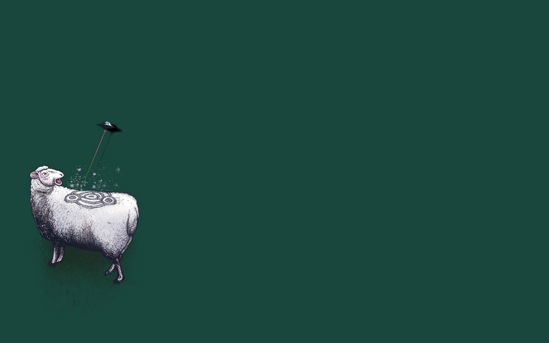 Funny Sheep Wallpapers - Wallpaper Cave