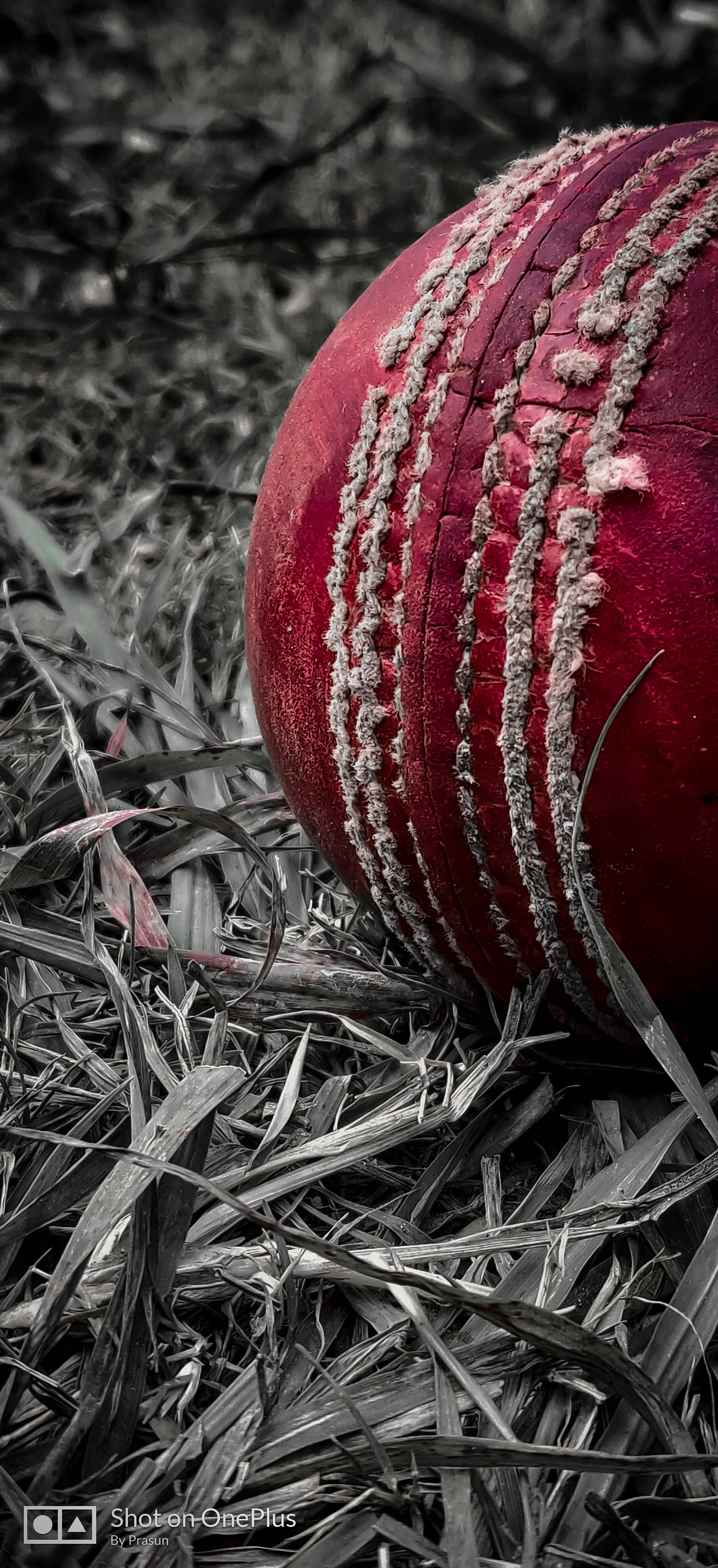 Cricket HD 4k iPhone Wallpapers - Wallpaper Cave