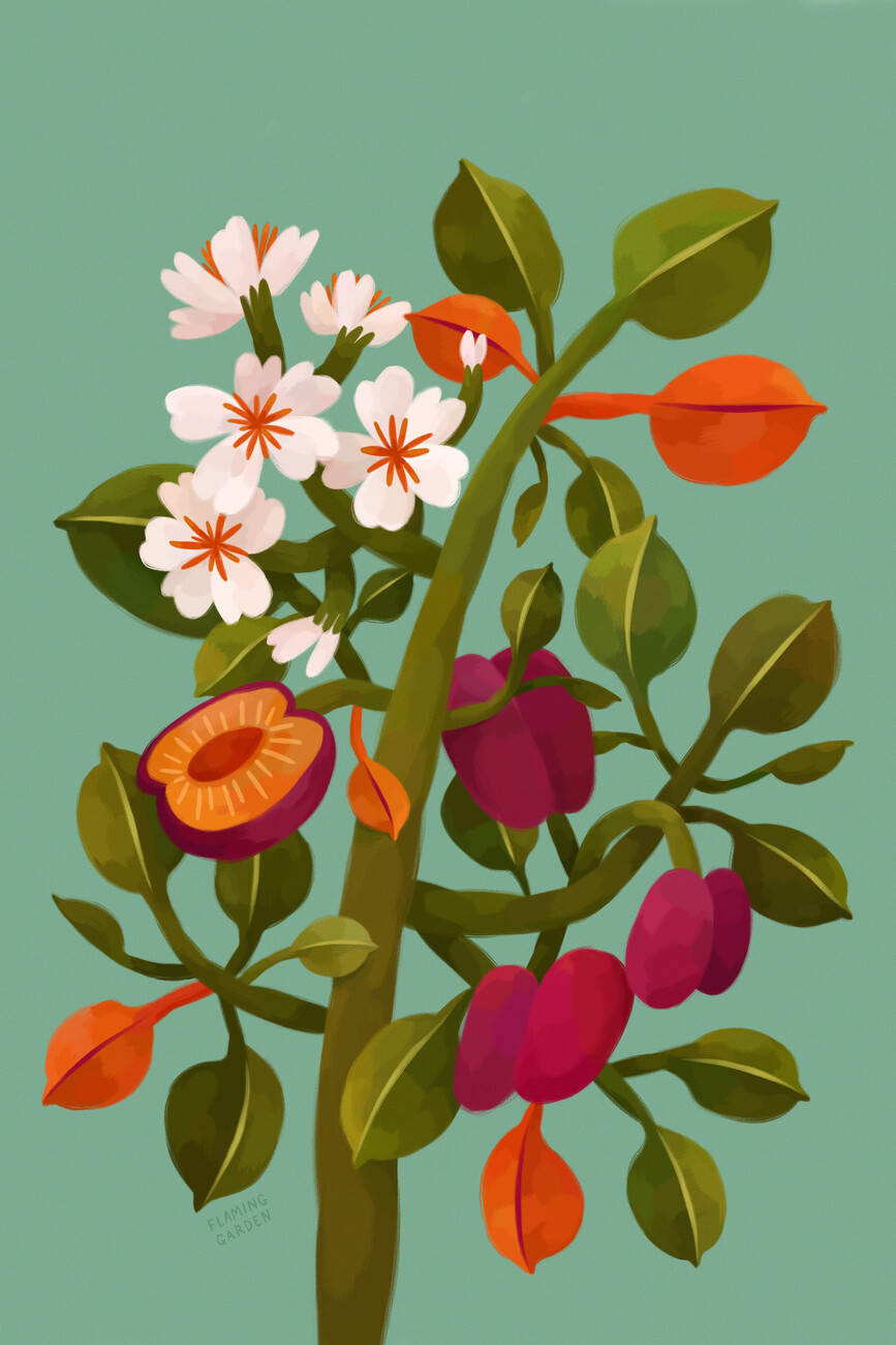 Plum Tree Wallpapers - Wallpaper Cave