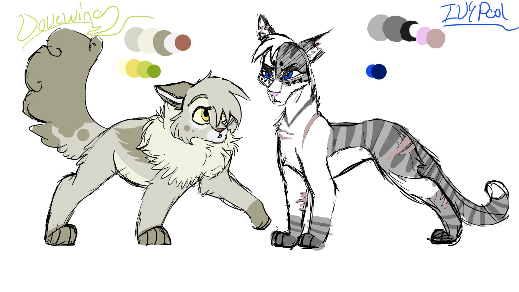 Dovewing Warrior Cats Wallpapers - Wallpaper Cave