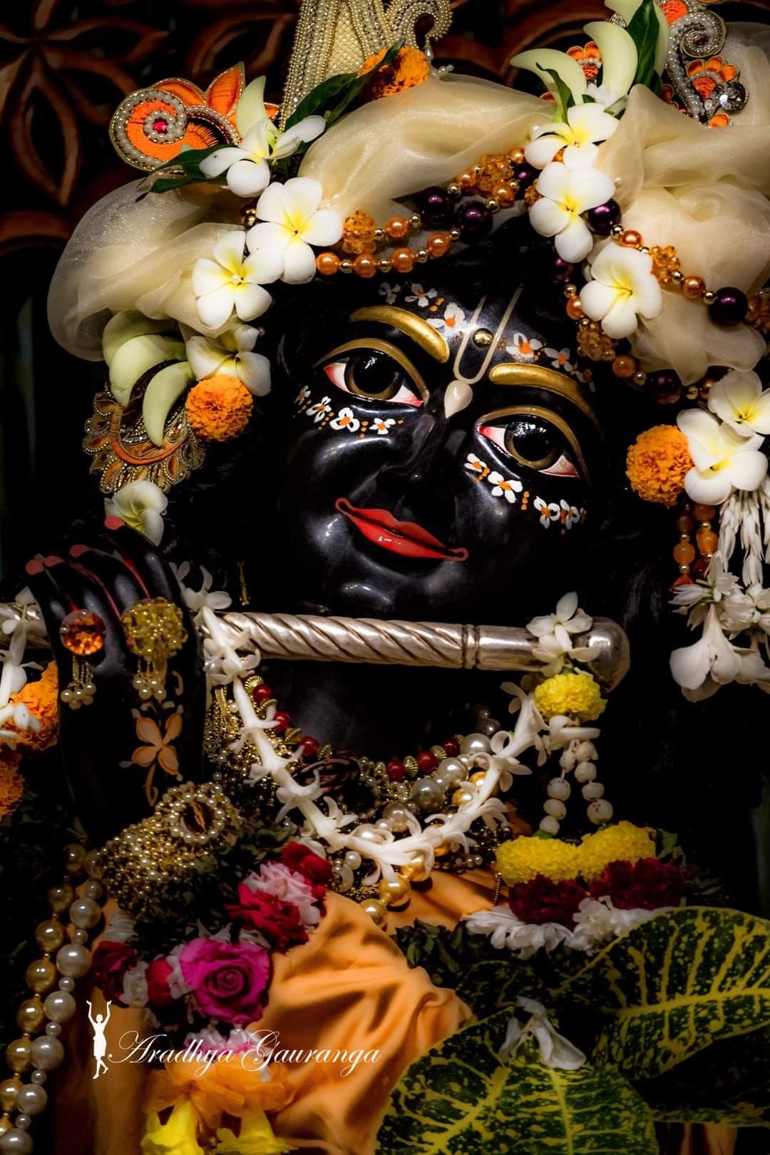 Gauranga Wallpapers - Wallpaper Cave