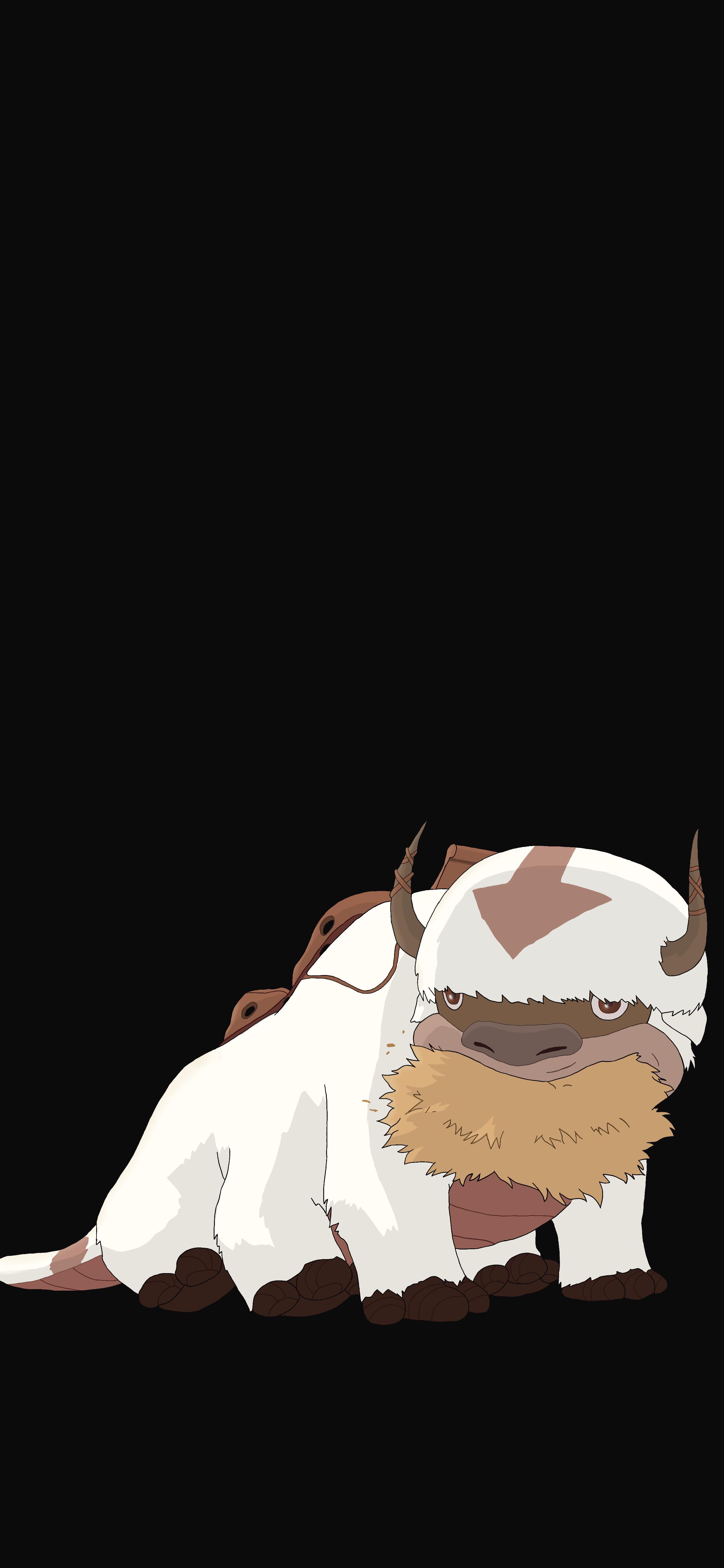 Appa Wallpapers - Wallpaper Cave