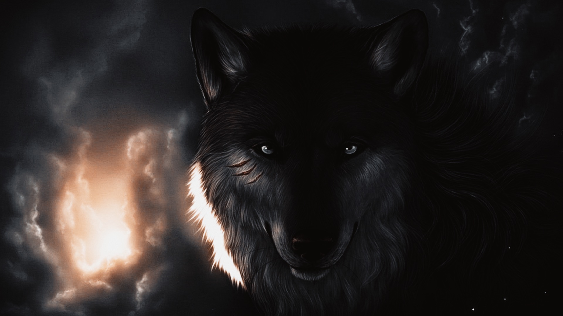 Wolf Fight Wallpapers - Wallpaper Cave