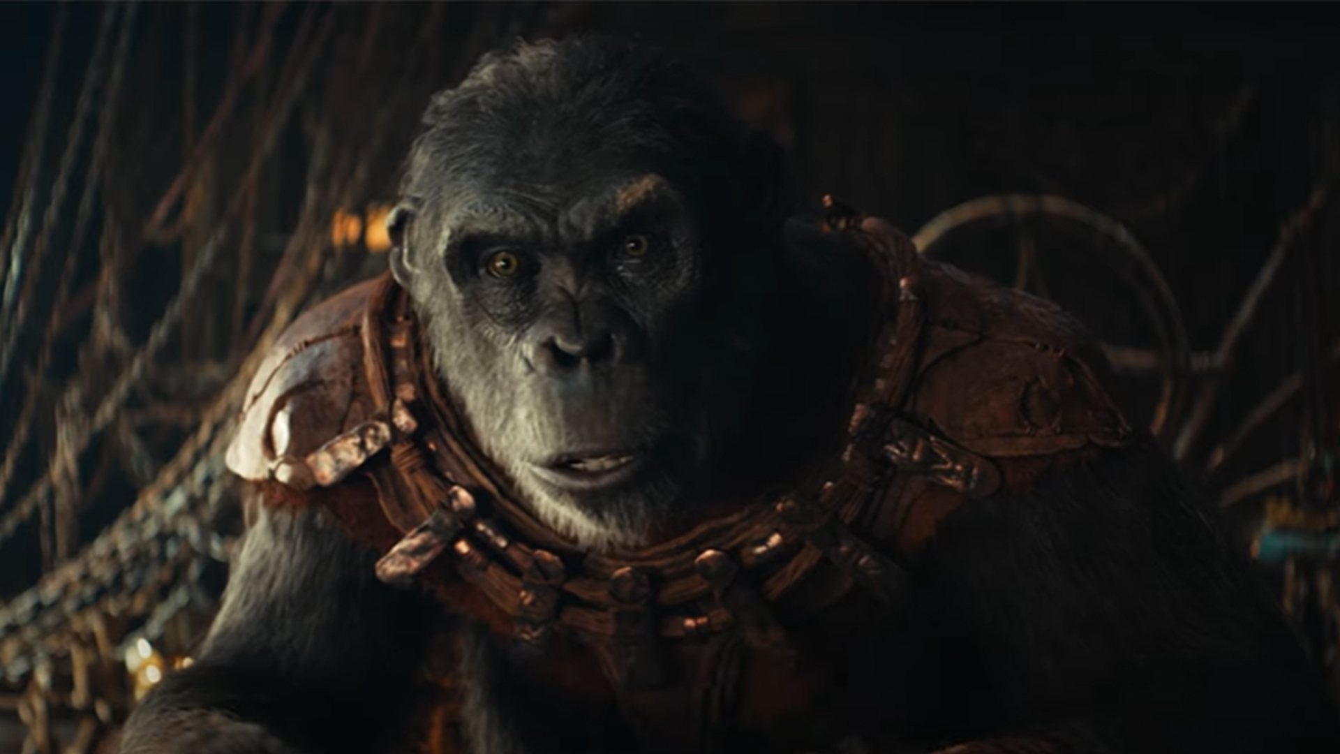 Kingdom Of The Planet Of The Apes HD Wallpapers - Wallpaper Cave