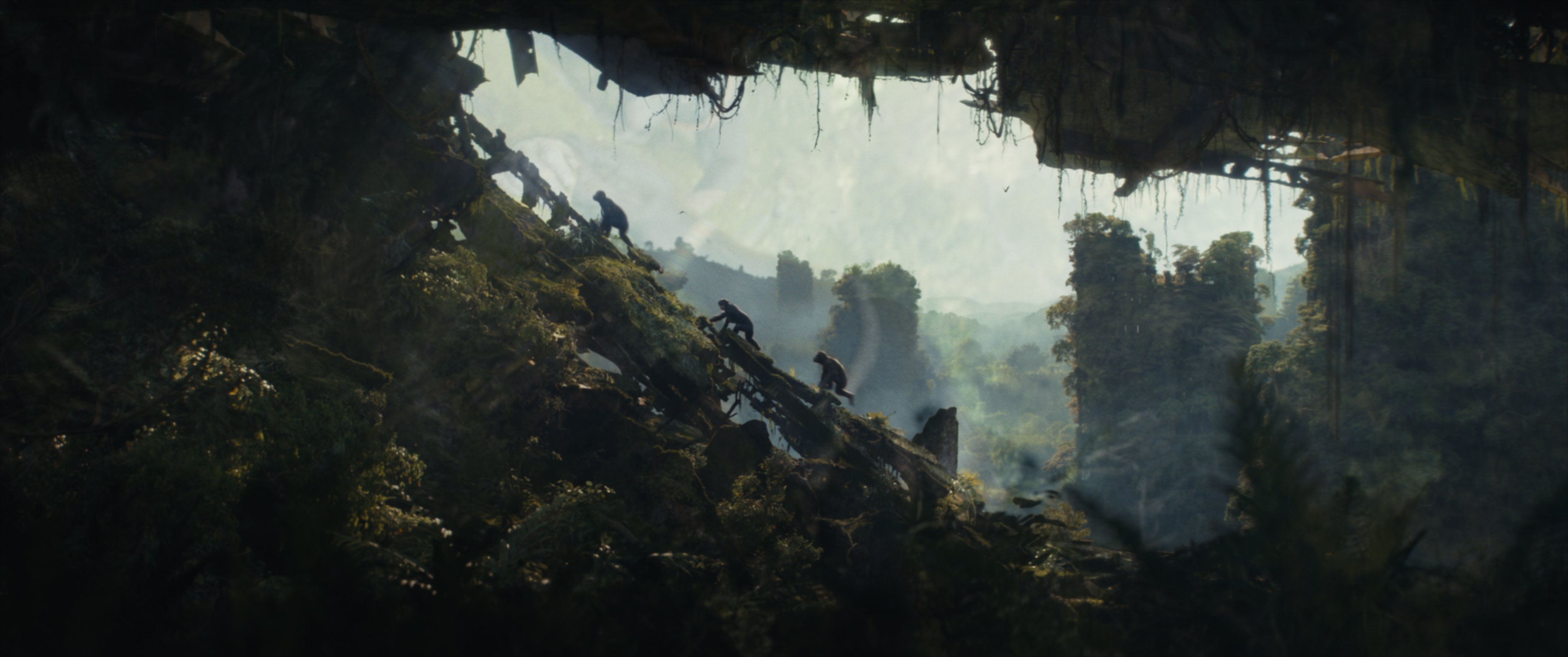 Kingdom Of The Planet Of The Apes HD Wallpapers - Wallpaper Cave