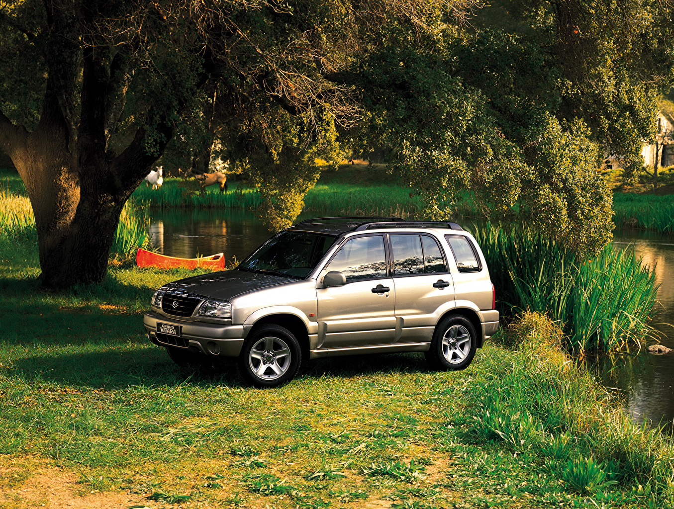 Verwunderlich Suzuki Vitara Wiki Bild