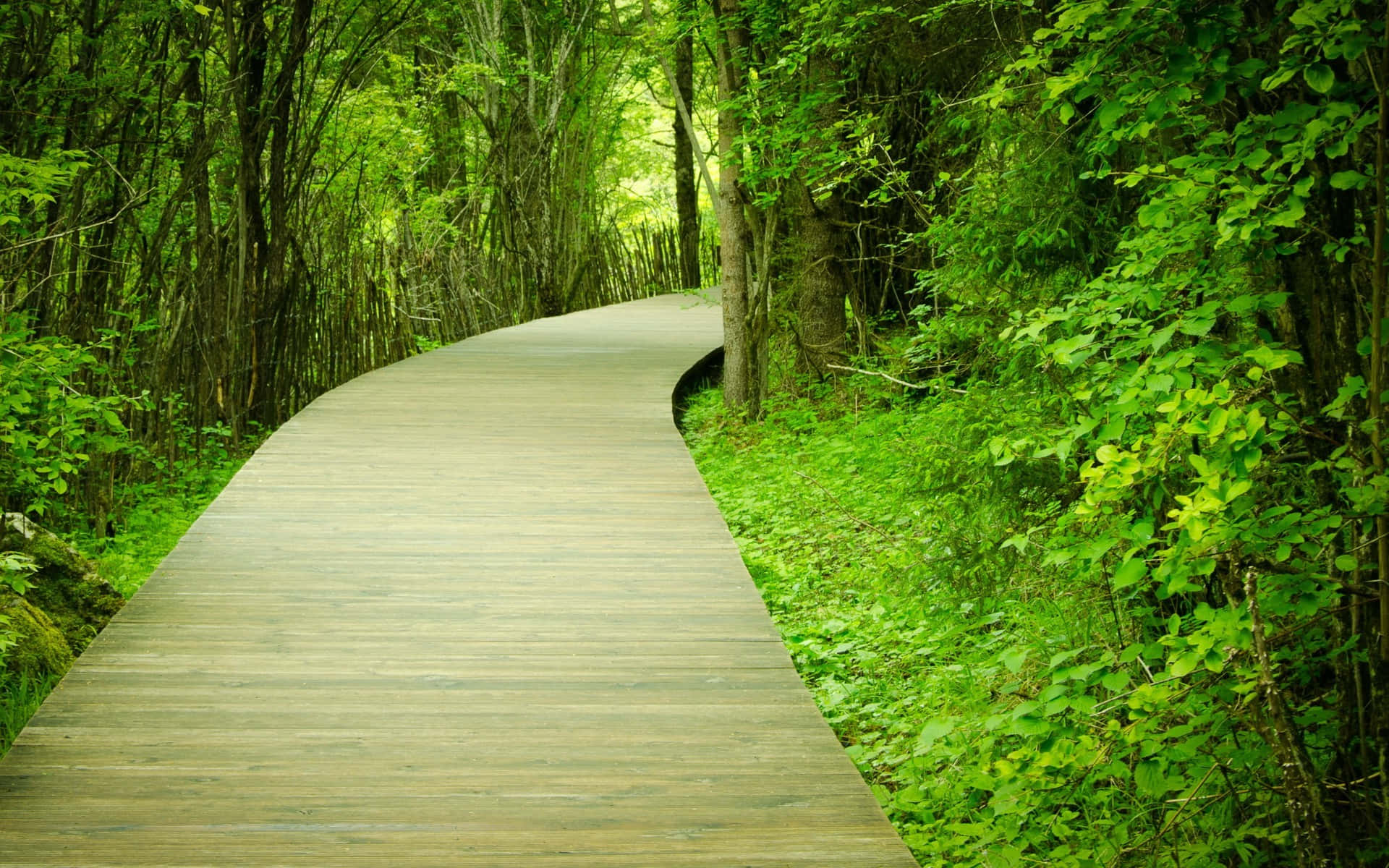 Nature Paths Wallpapers For Desktop