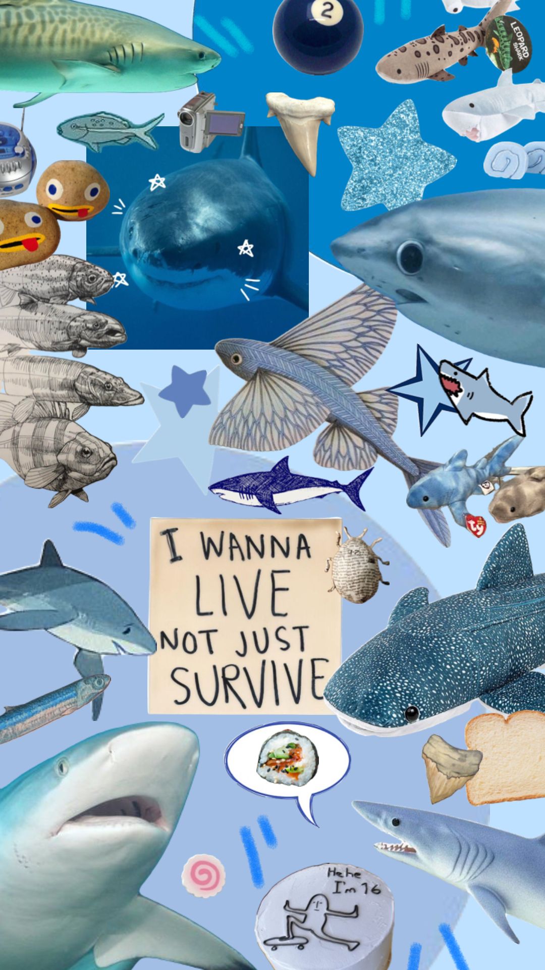 Shark Aesthetic Wallpapers - Wallpaper Cave