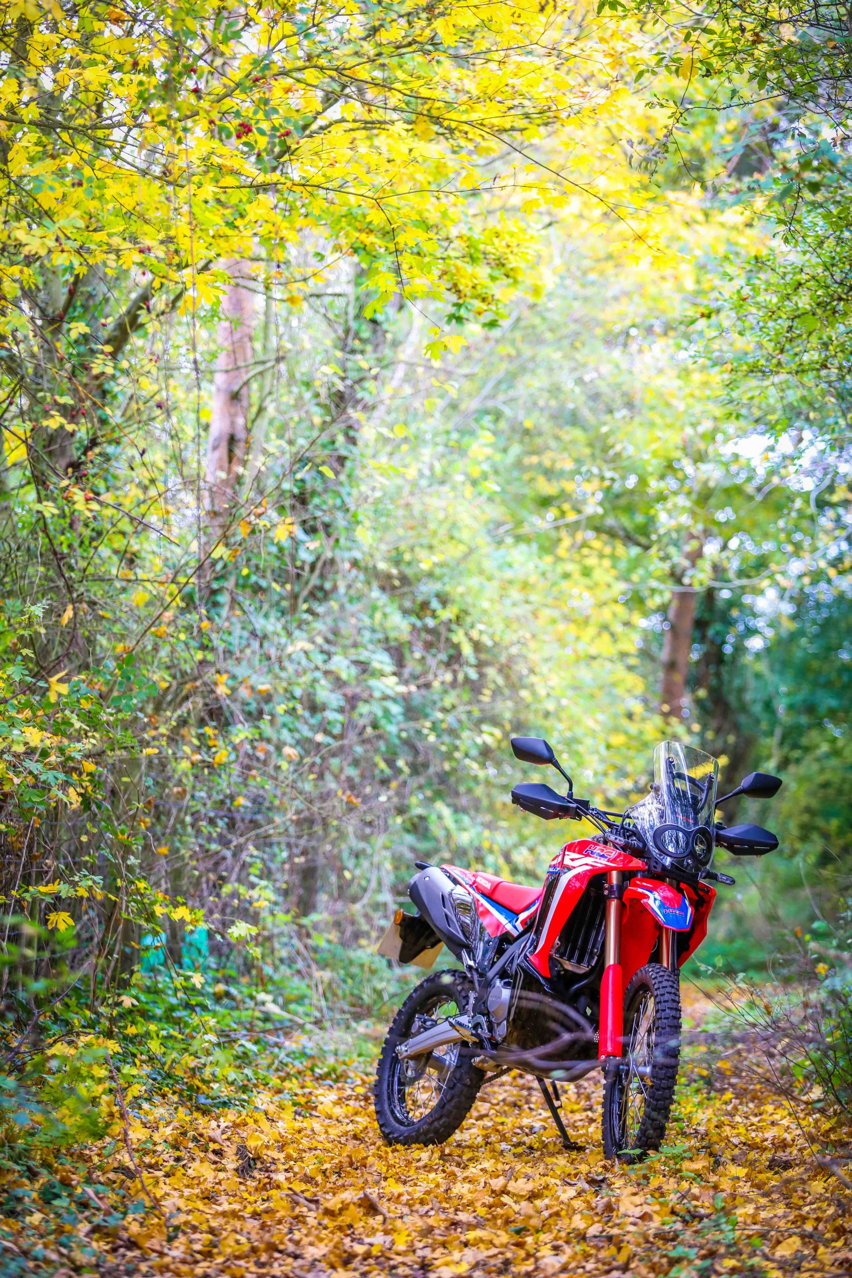 CRF Rally Wallpapers - Wallpaper Cave