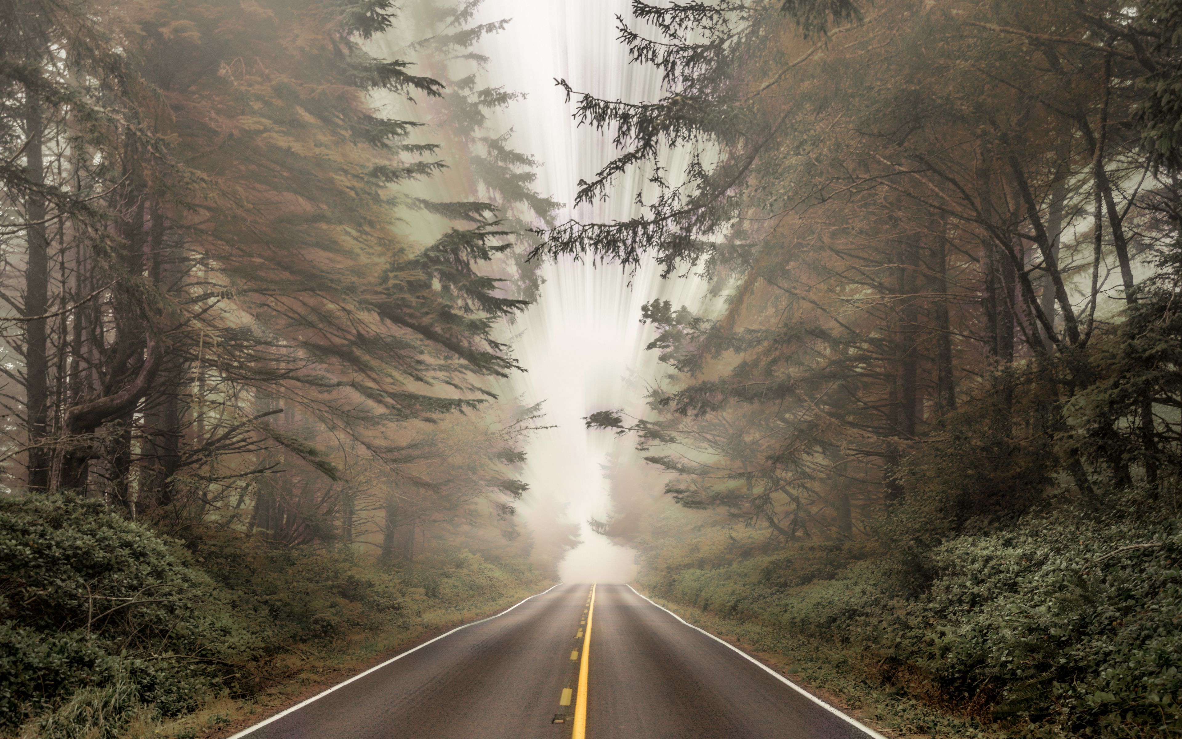 Fog Road Wallpapers - Wallpaper Cave