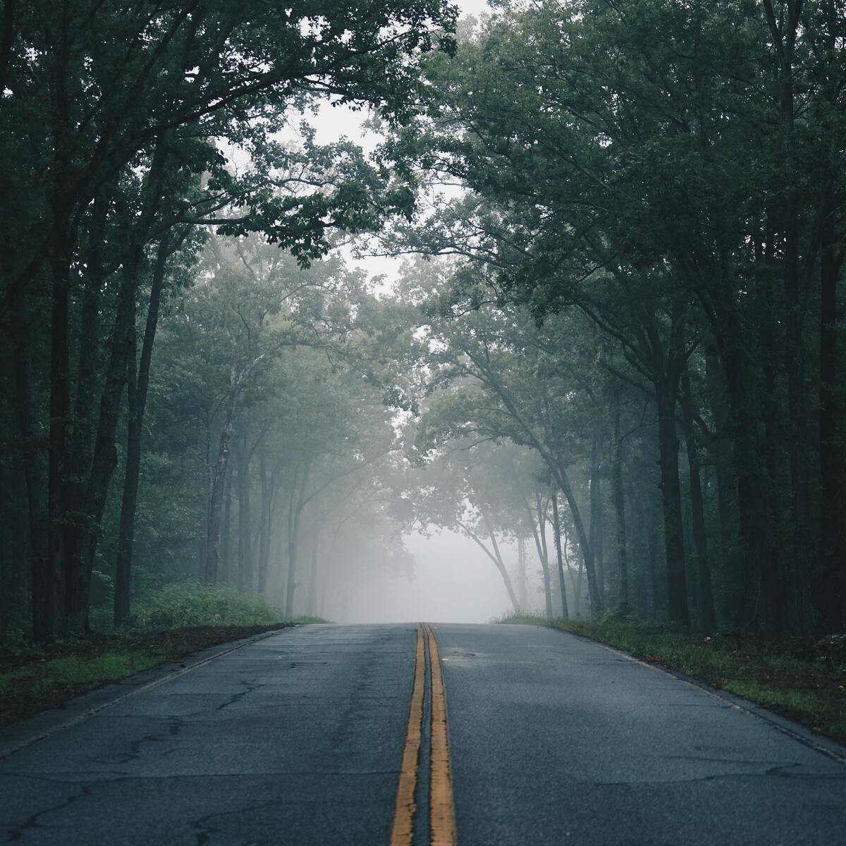 Fog Road Wallpapers - Wallpaper Cave