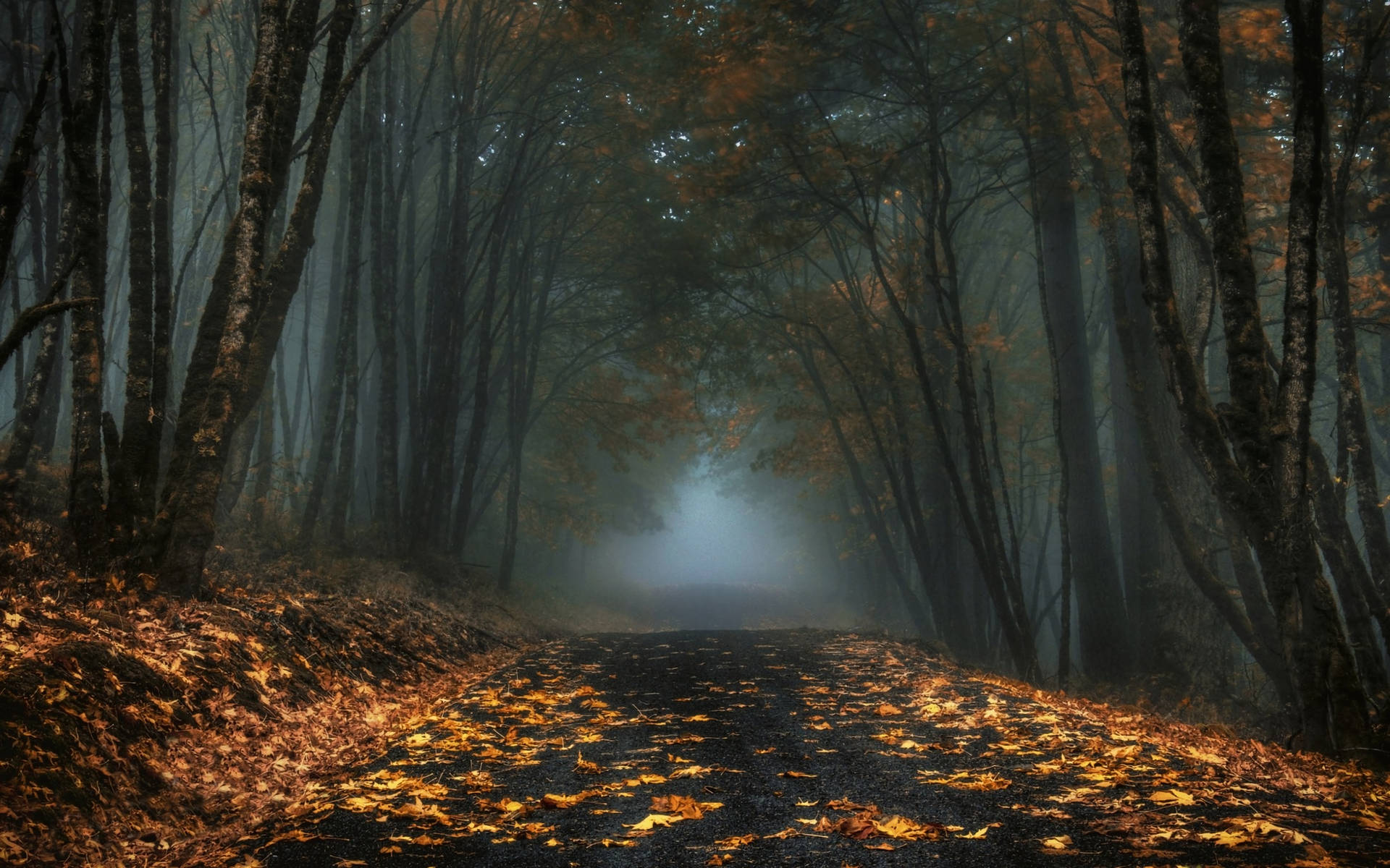 Fog Road Wallpapers - Wallpaper Cave